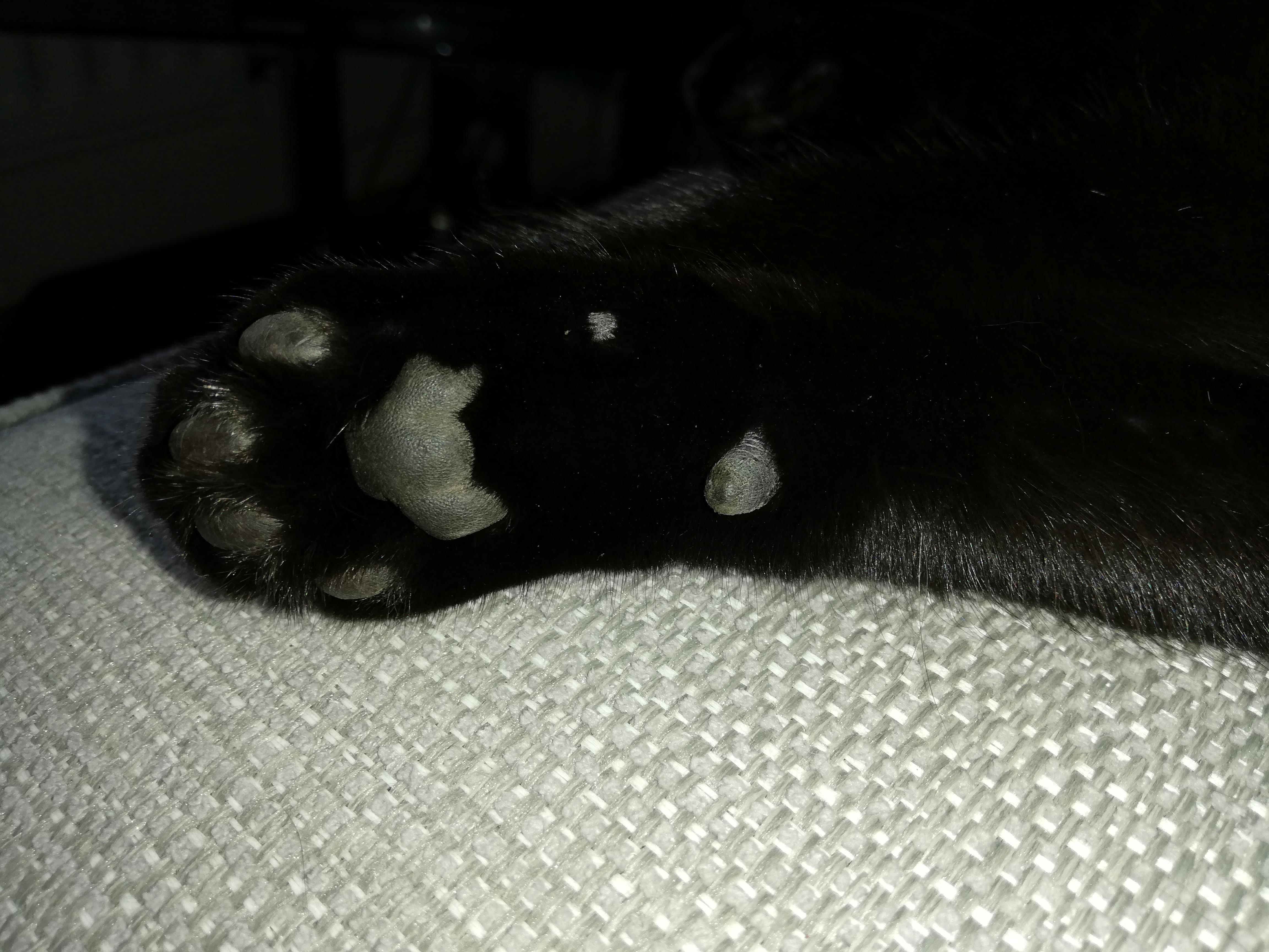 Just a void foot on the sofa | Scrolller