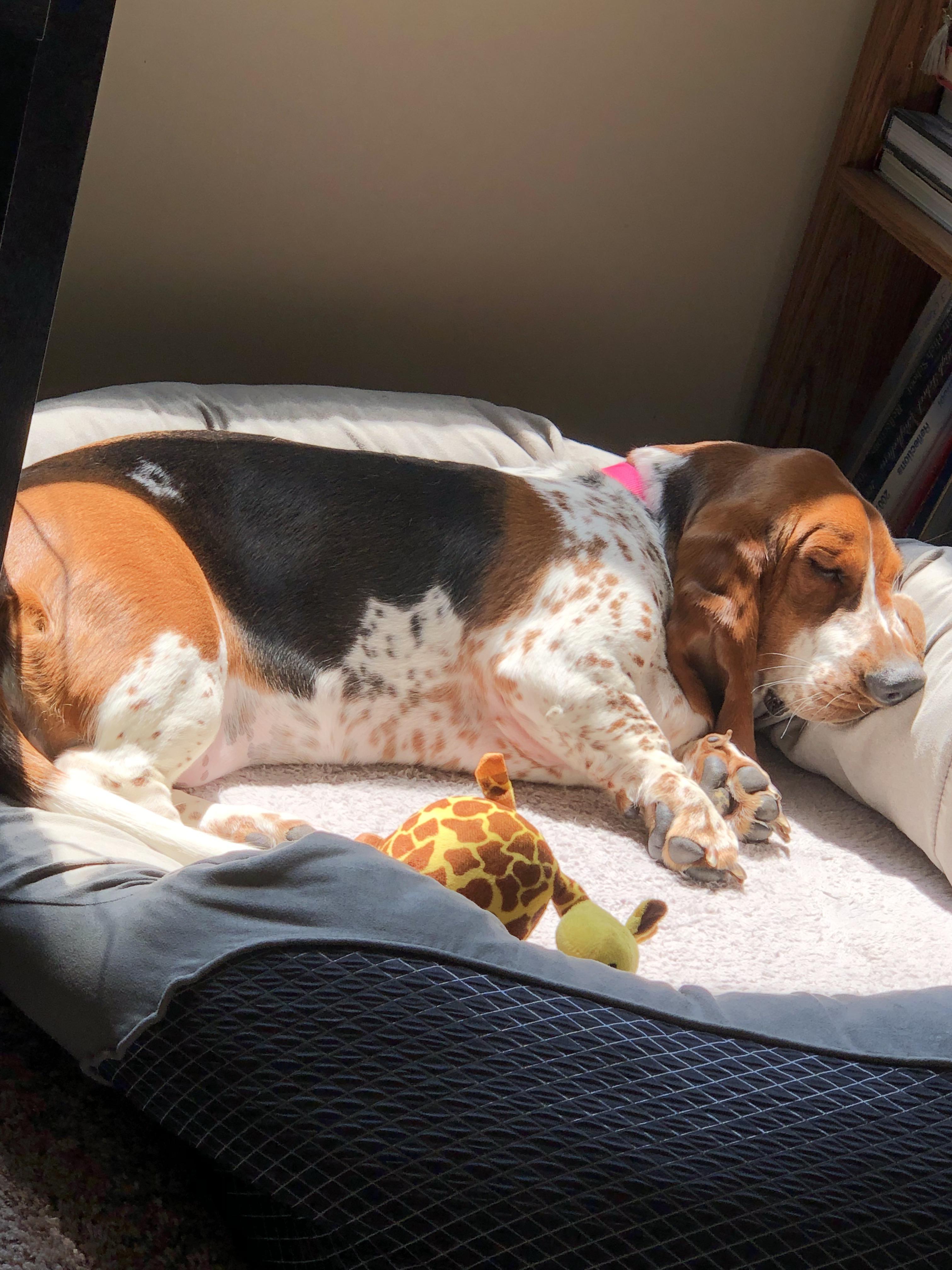 Just baked this loaf of love. | Scrolller