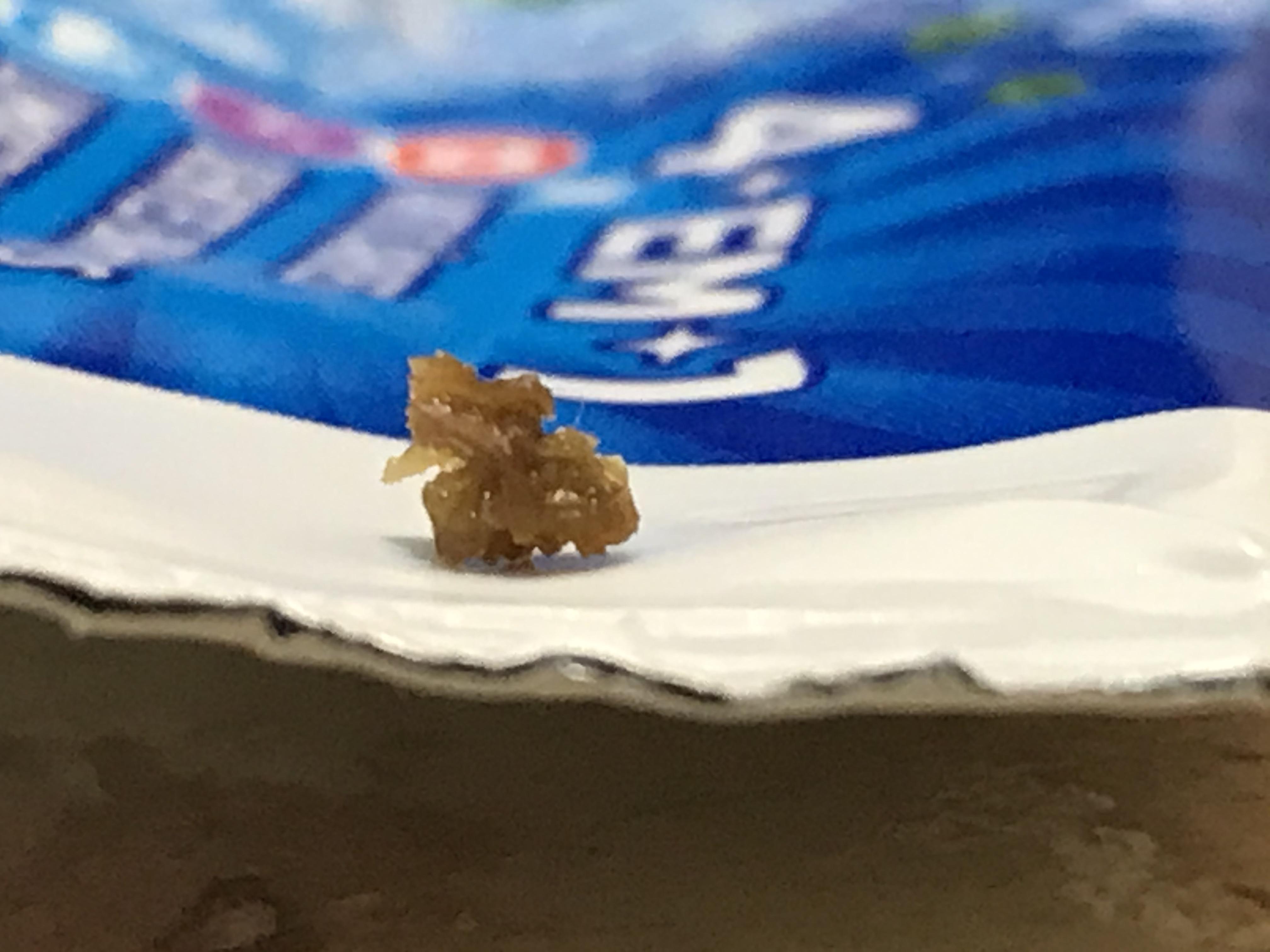 Just came out this spiky Devil! | Scrolller