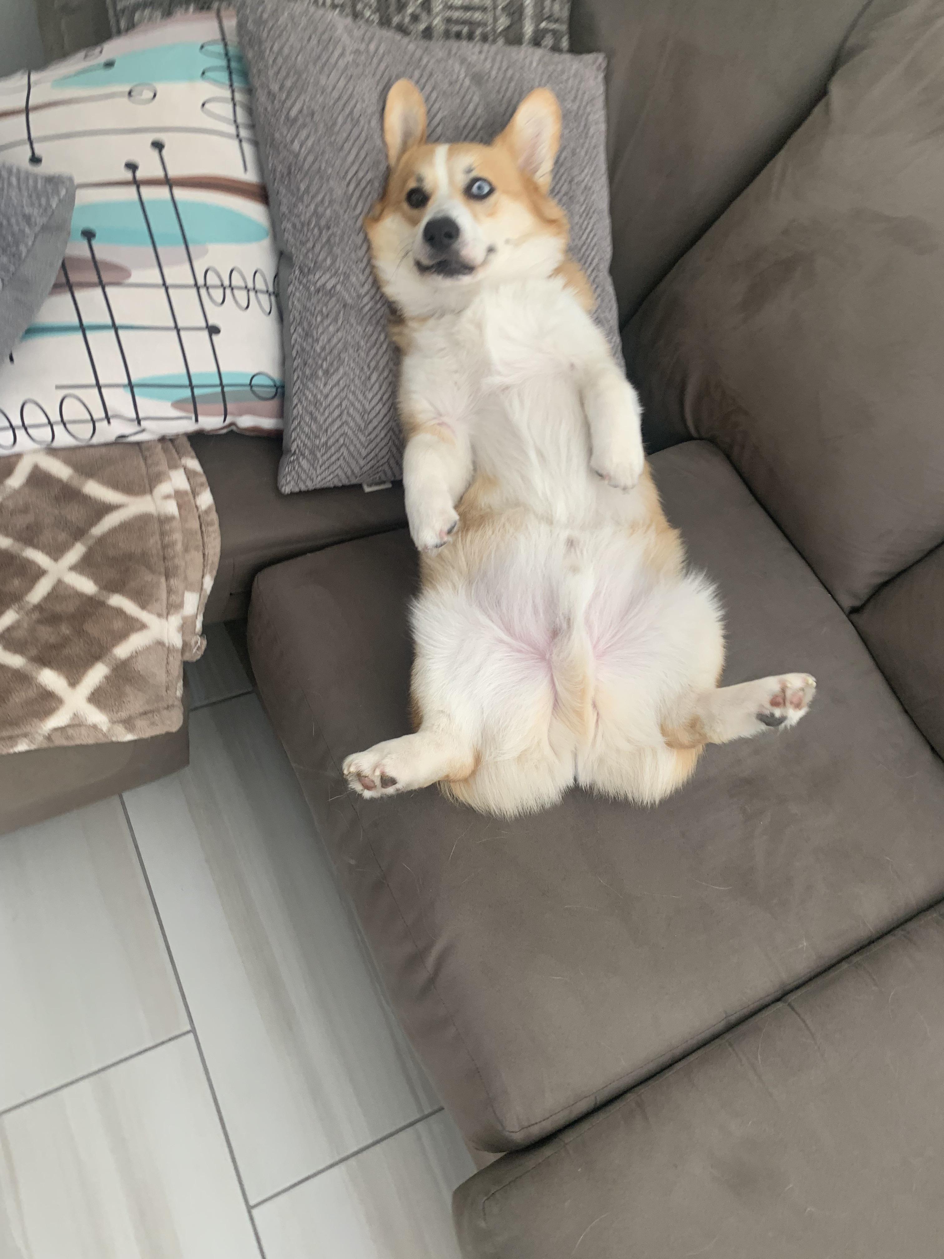 Just chillin | Scrolller