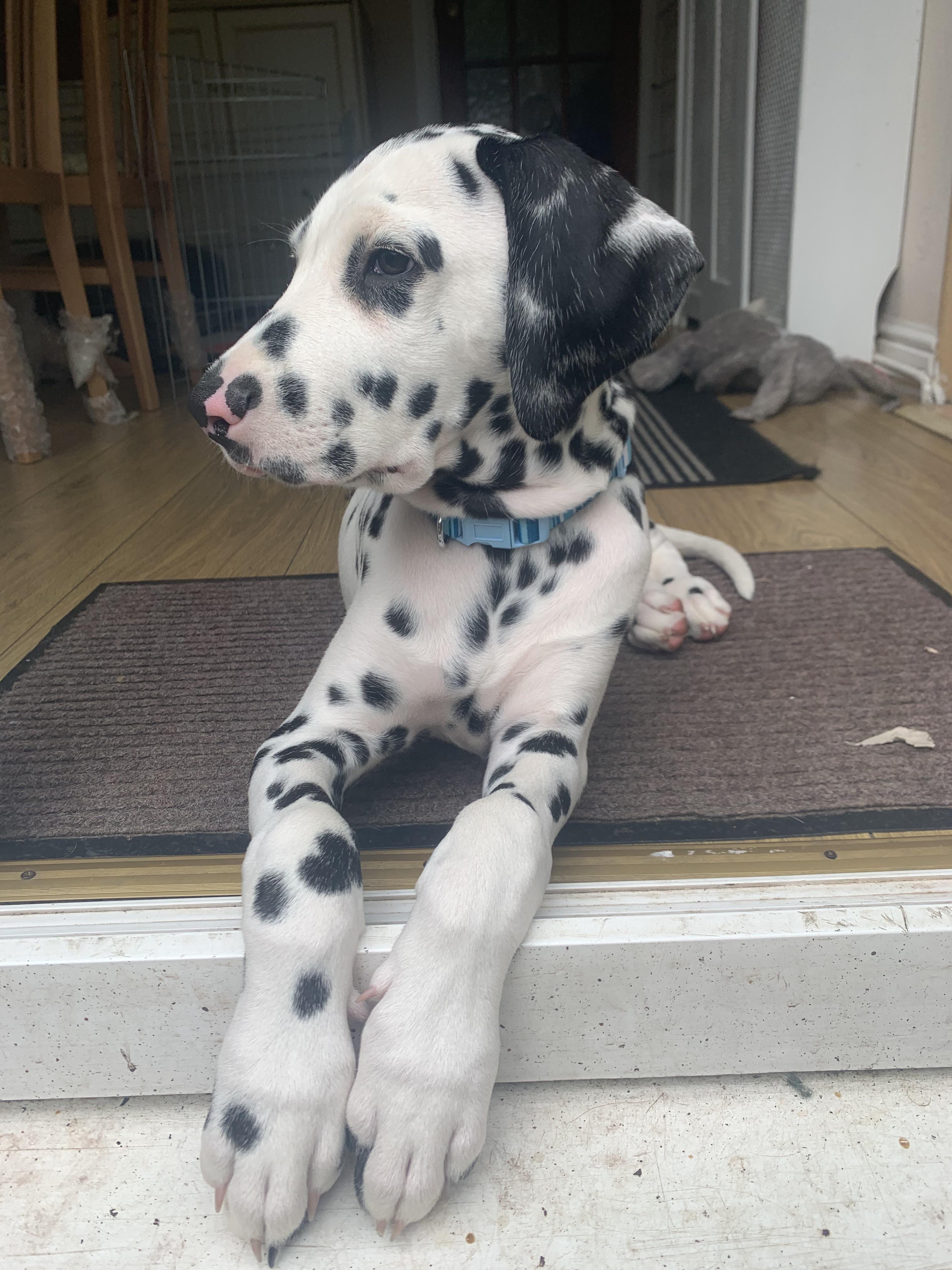 Just Chilling | Scrolller