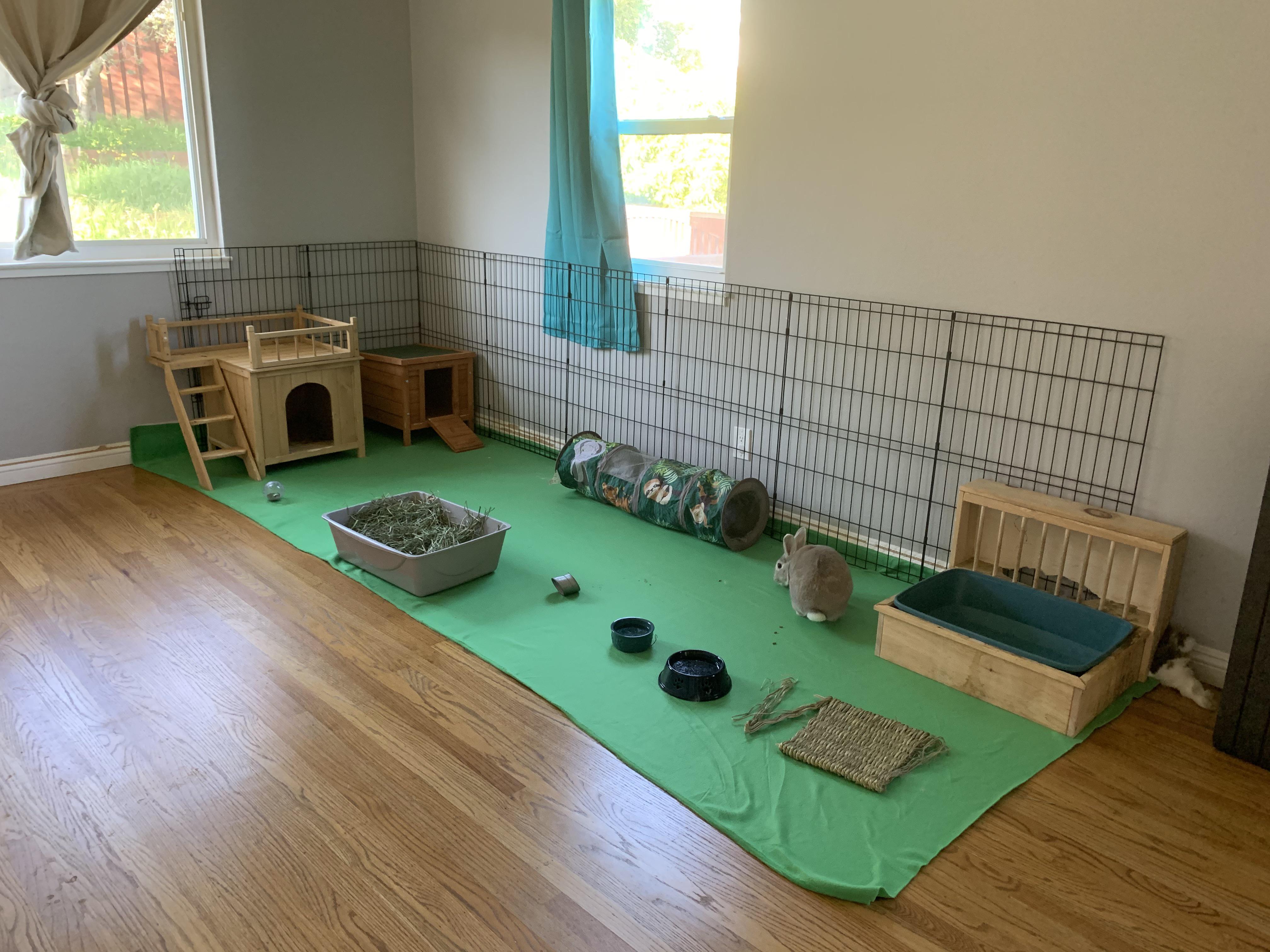 Just cleaned their room so they are carefully inspecting every nook and ...