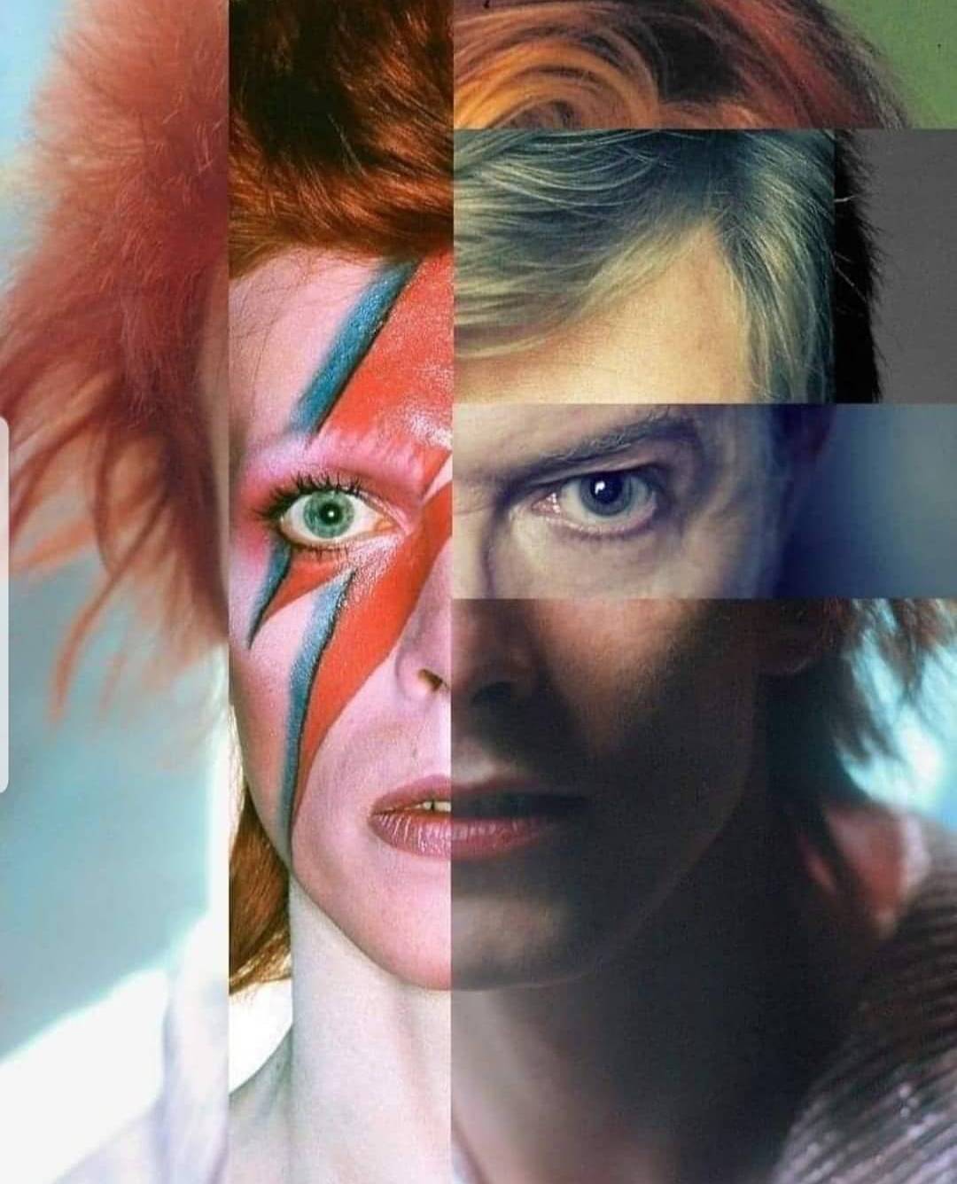 Just David. | Scrolller