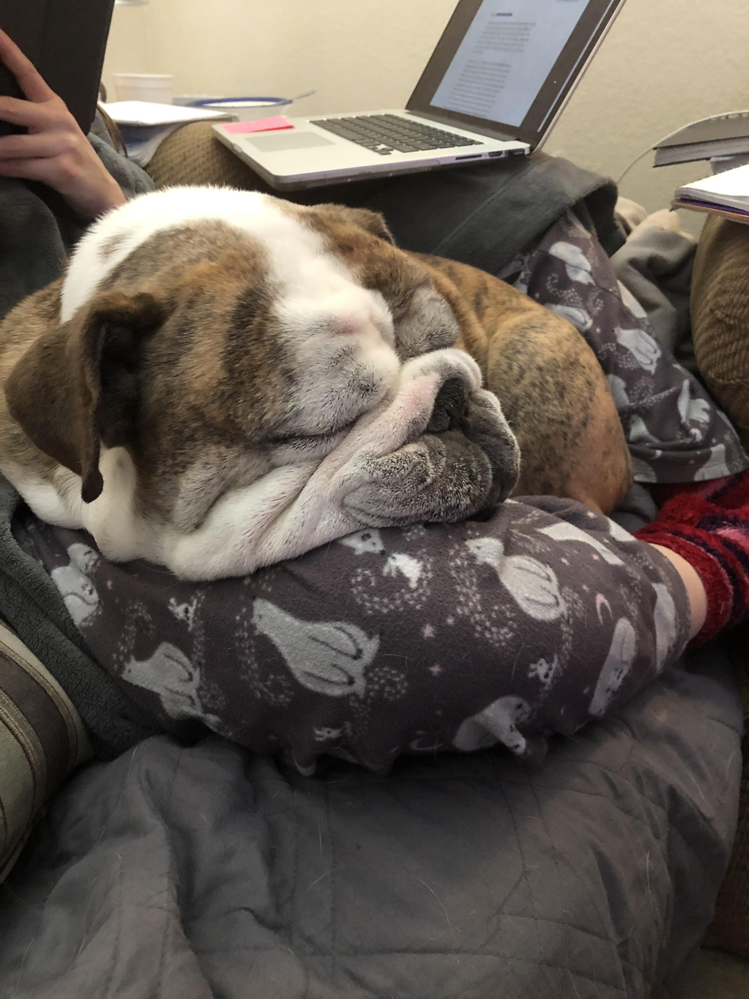 Just having a squishy day! | Scrolller