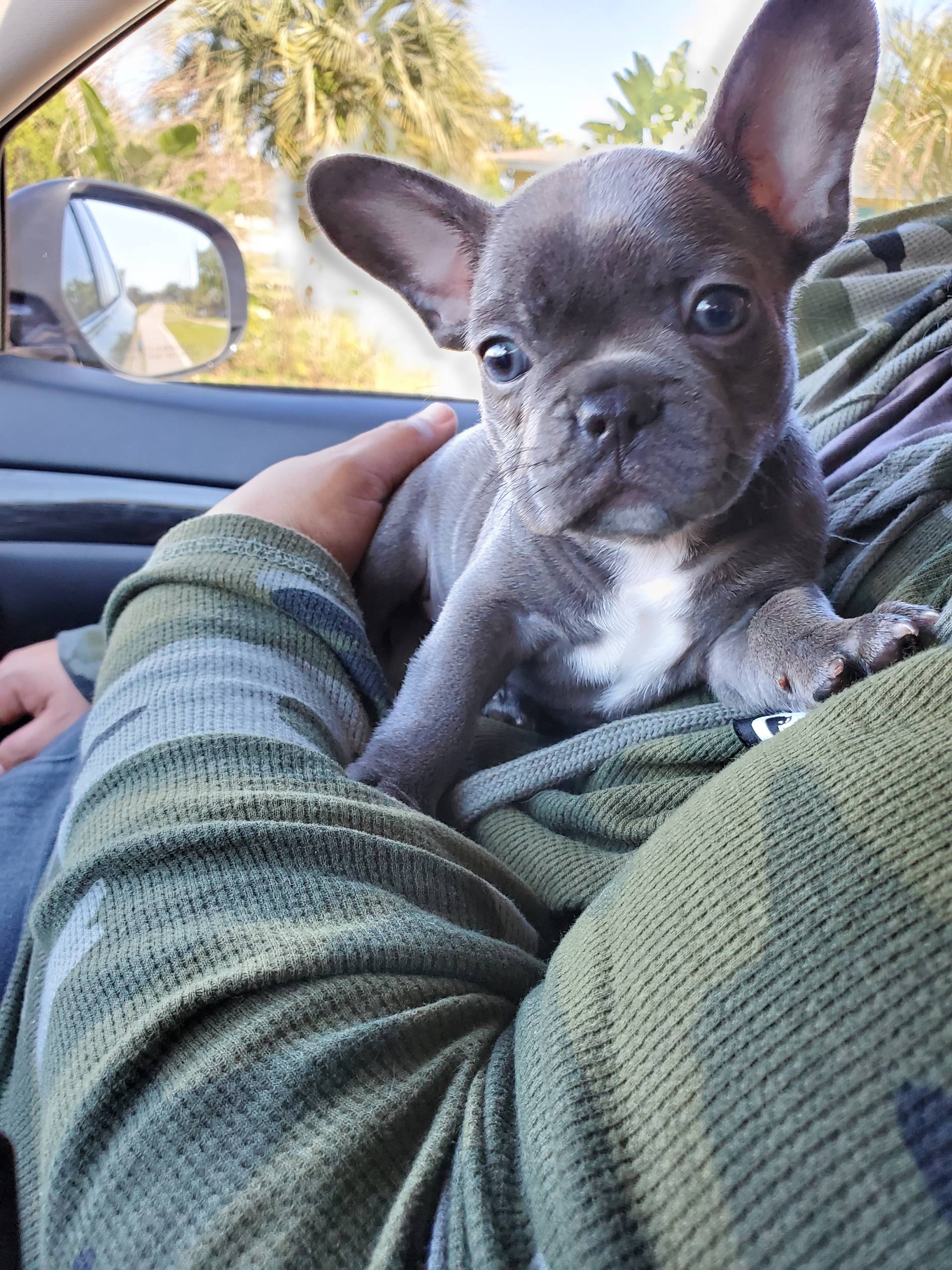 Just picked her up | Scrolller