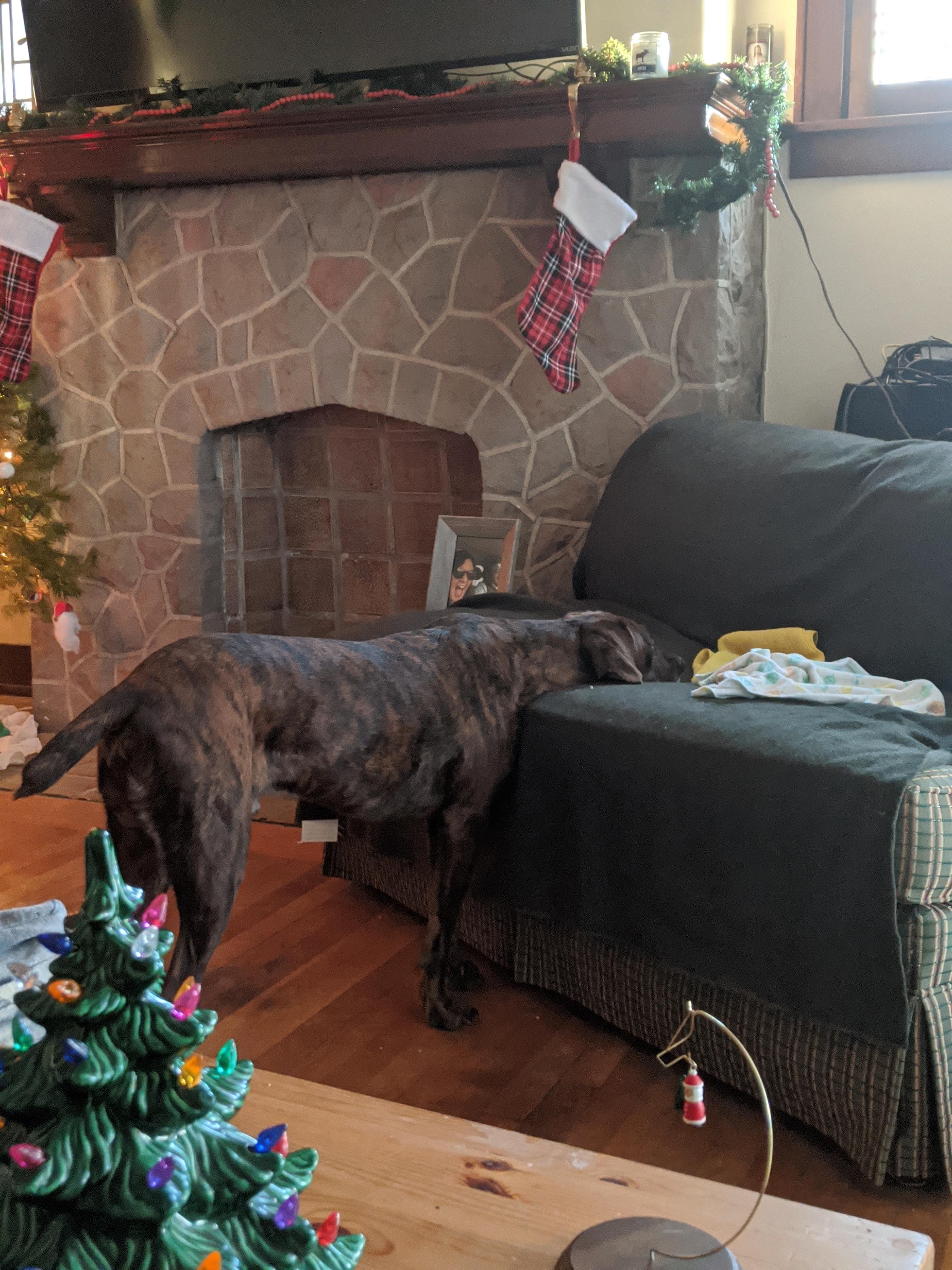 Just Plott things | Scrolller