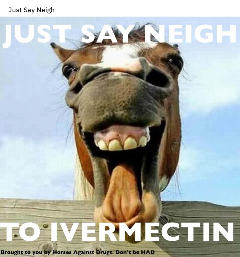 Just Say Neigh | Scrolller