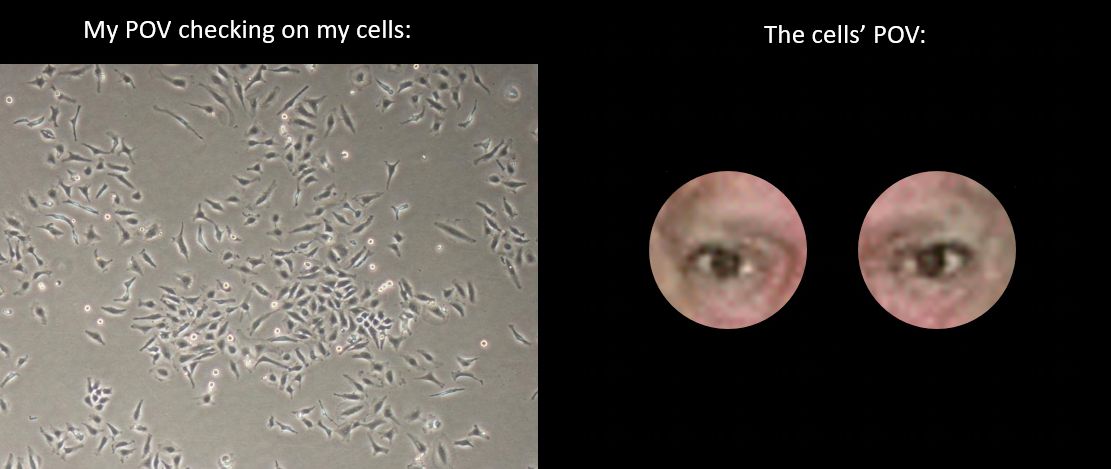 Just seeing how they're growing | Scrolller