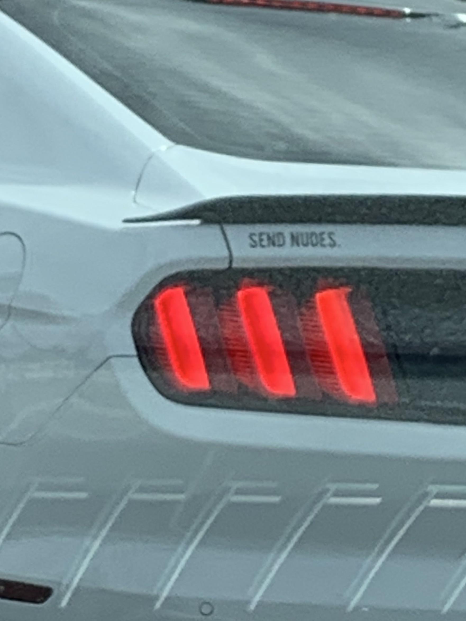 Just spotted, Newport Beach | Scrolller