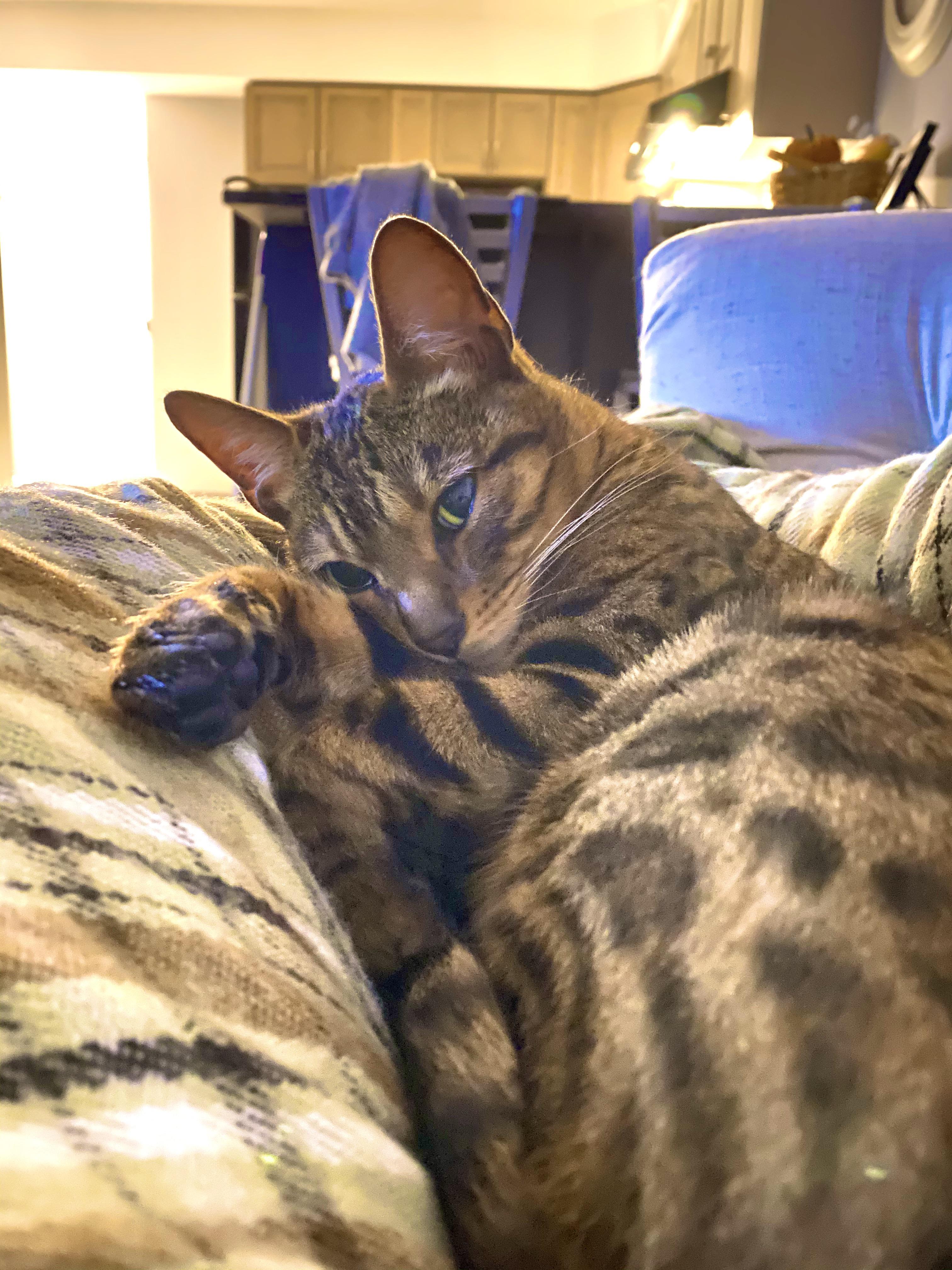 Just staring n’ mirin while she dozes off | Scrolller