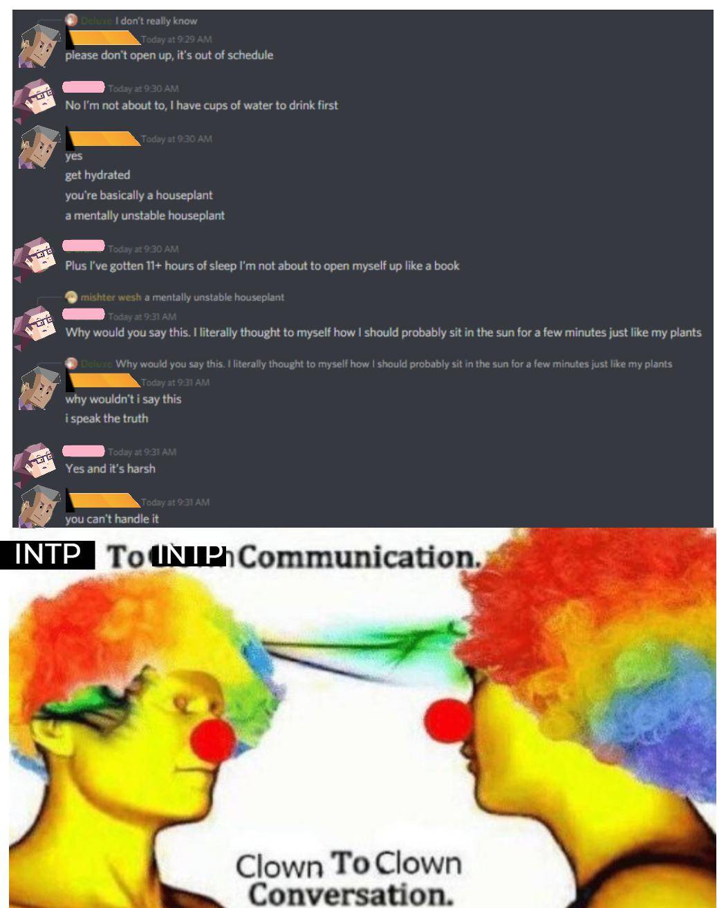 Just the usual INTP things | Scrolller