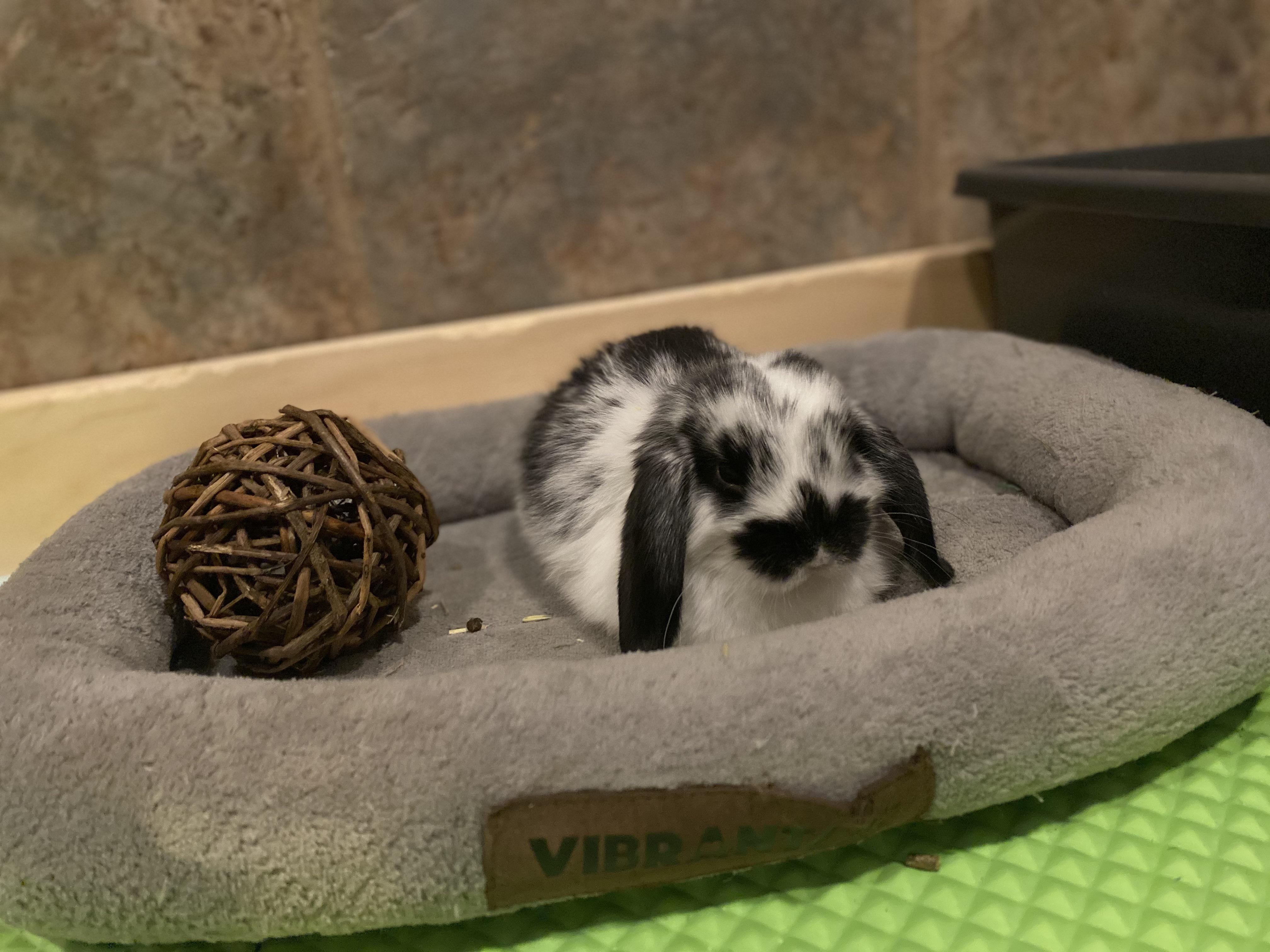 Just your average size comparison | Scrolller