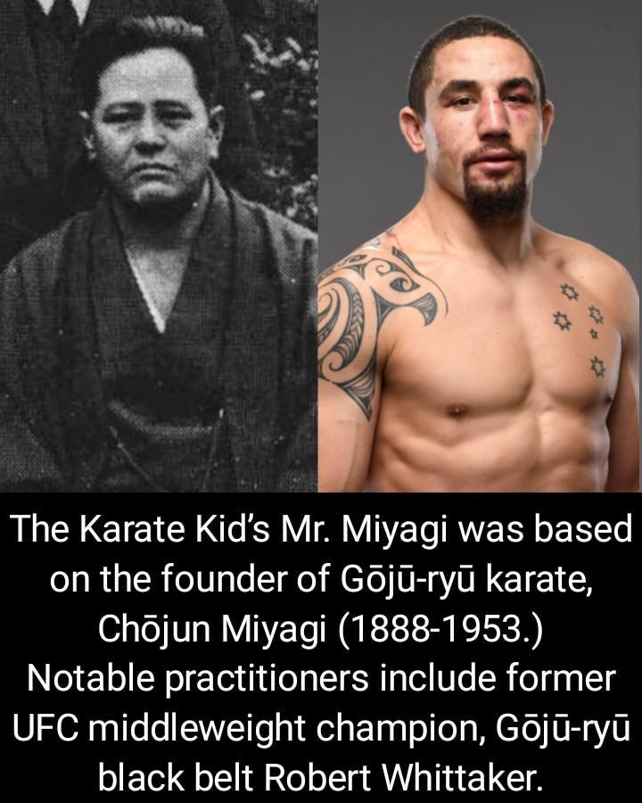 Karate Rob | Scrolller