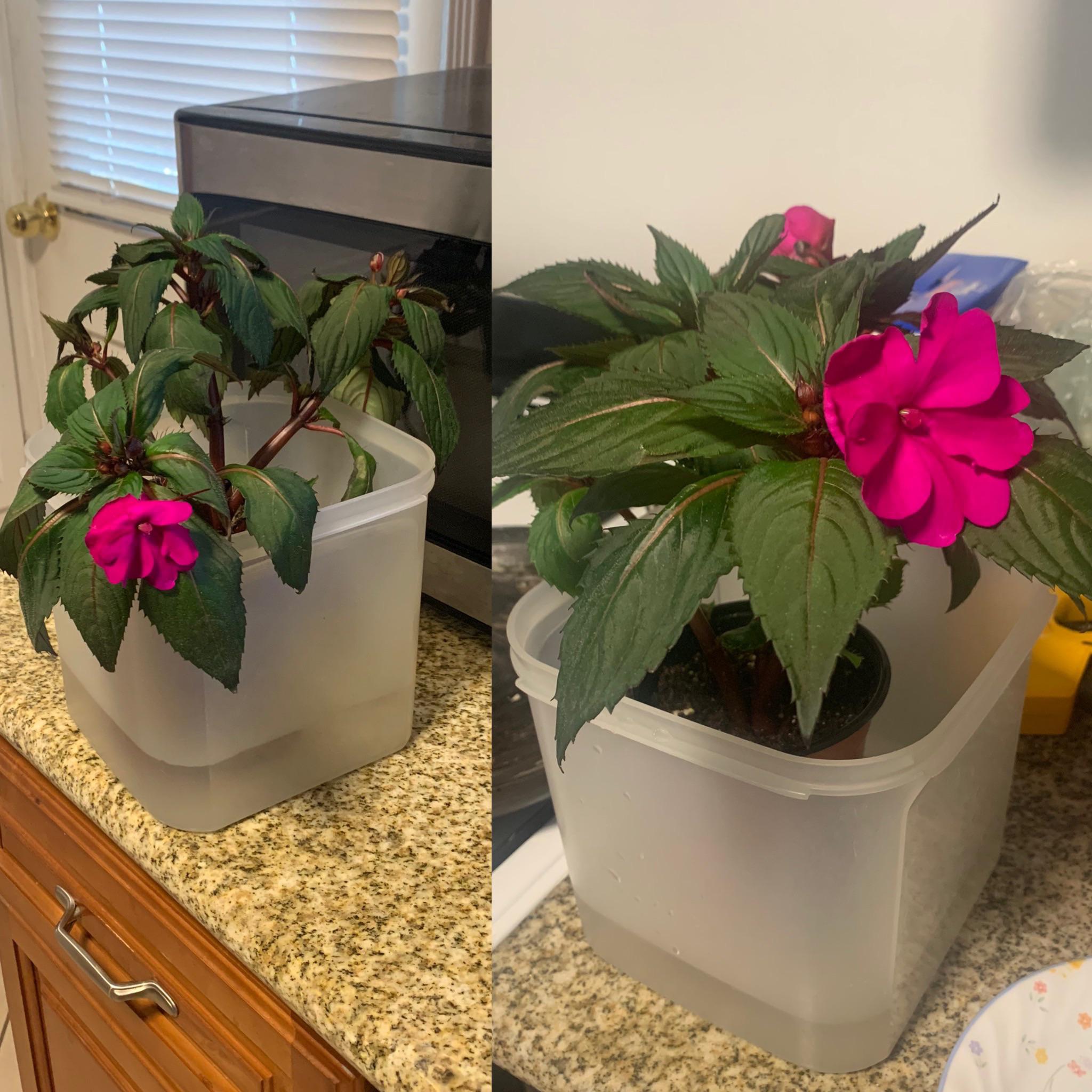 Karen being dramatic | Scrolller