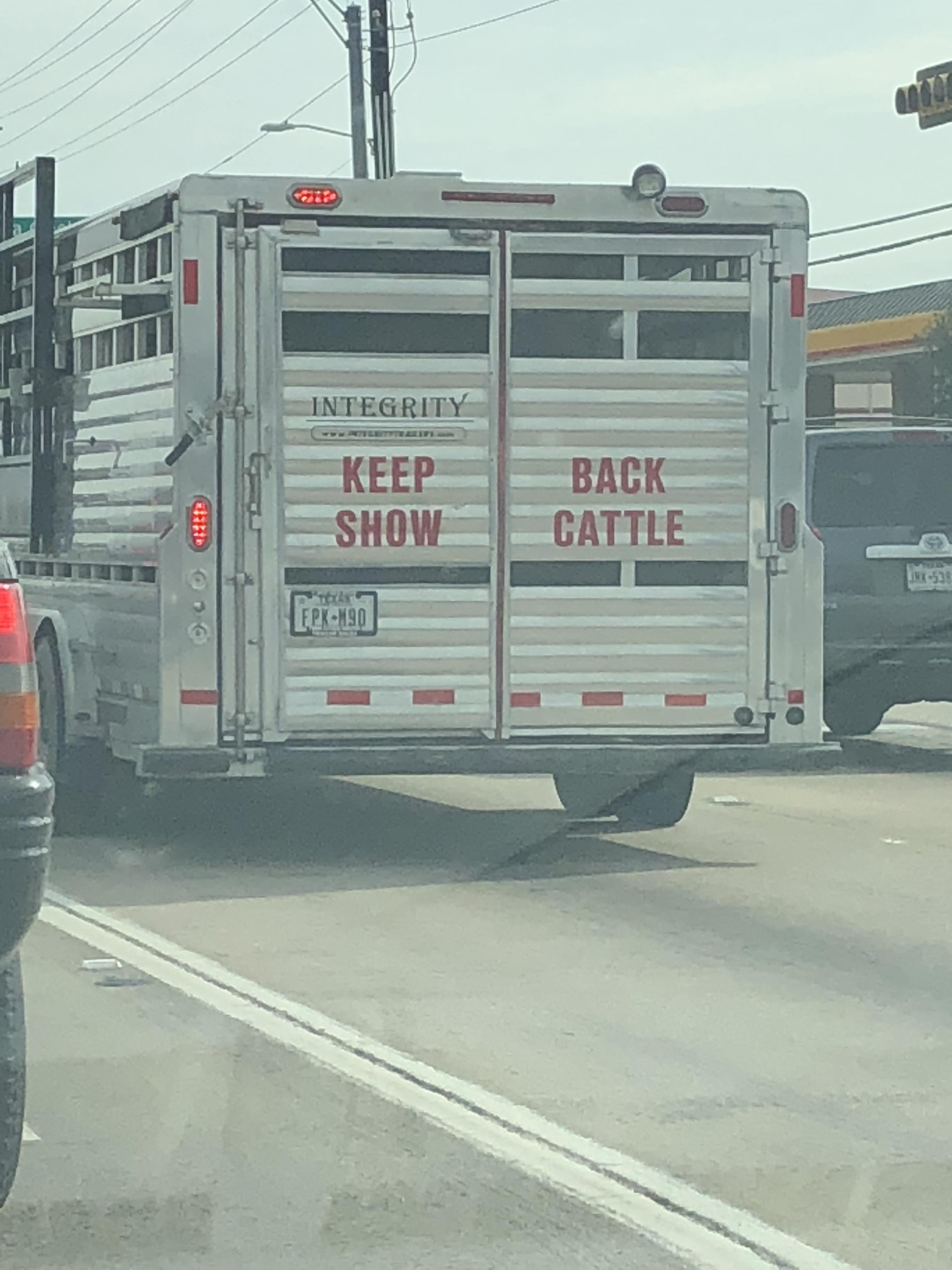 Keep Show Back Cattle | Scrolller