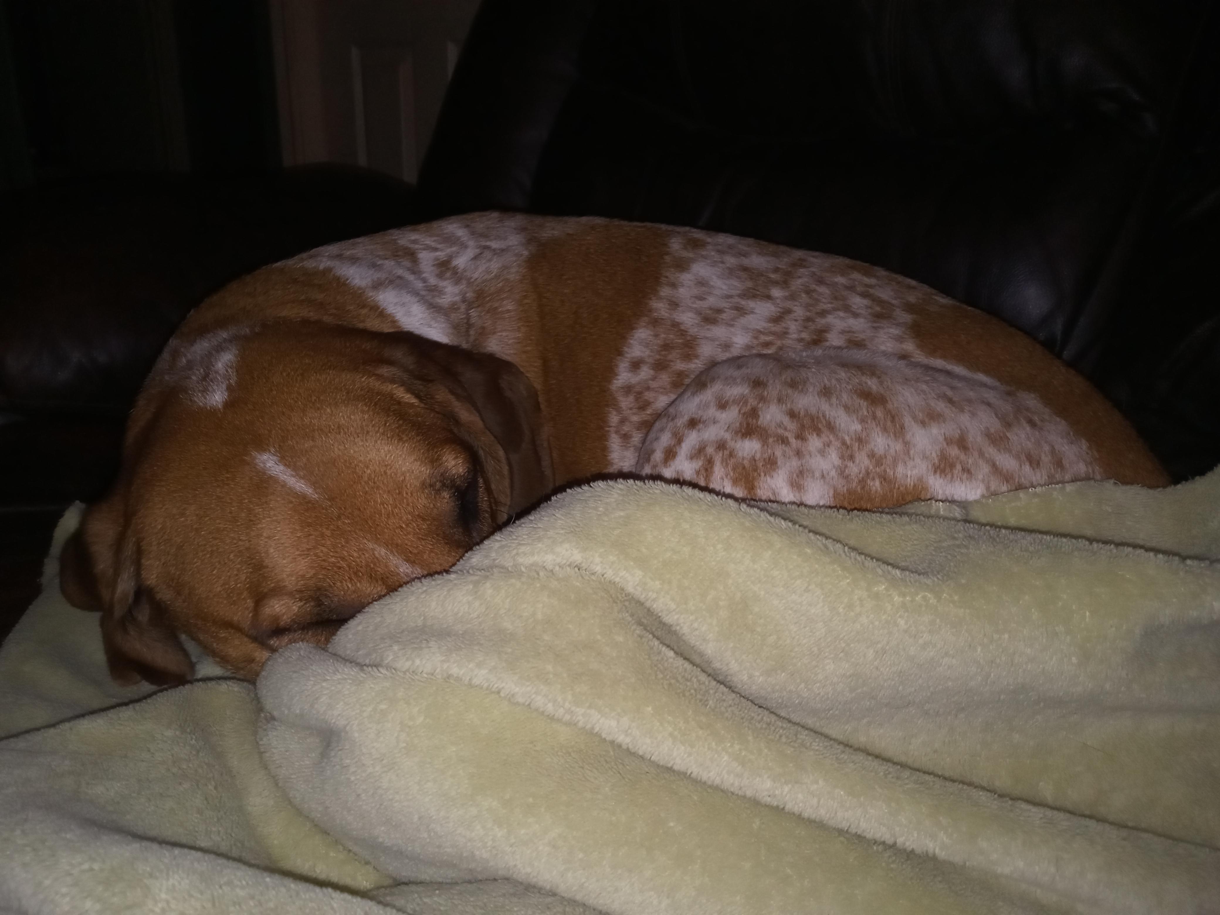 Keeping your nose warm | Scrolller