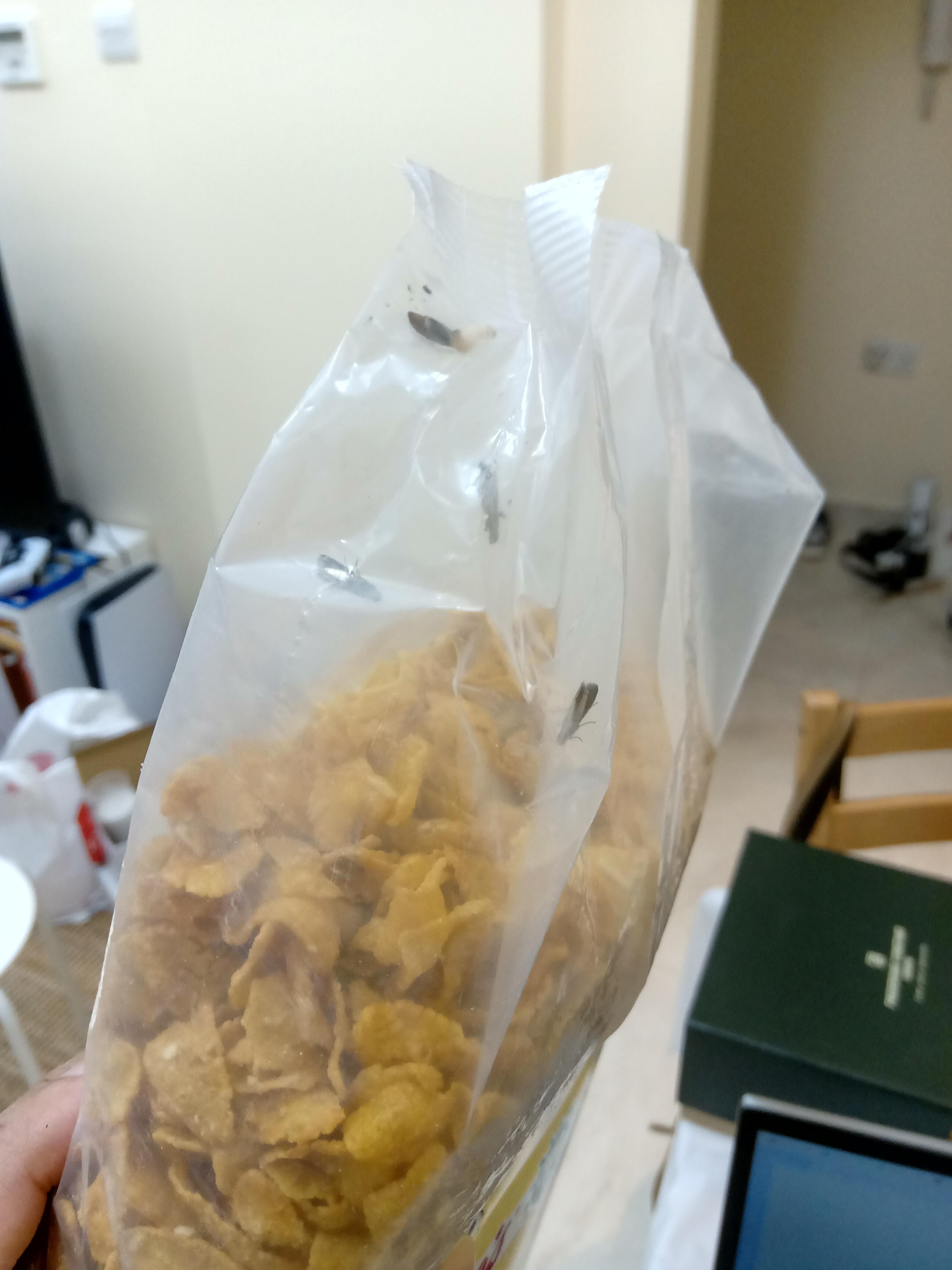 Kellogg's Crunchy Insects | Scrolller