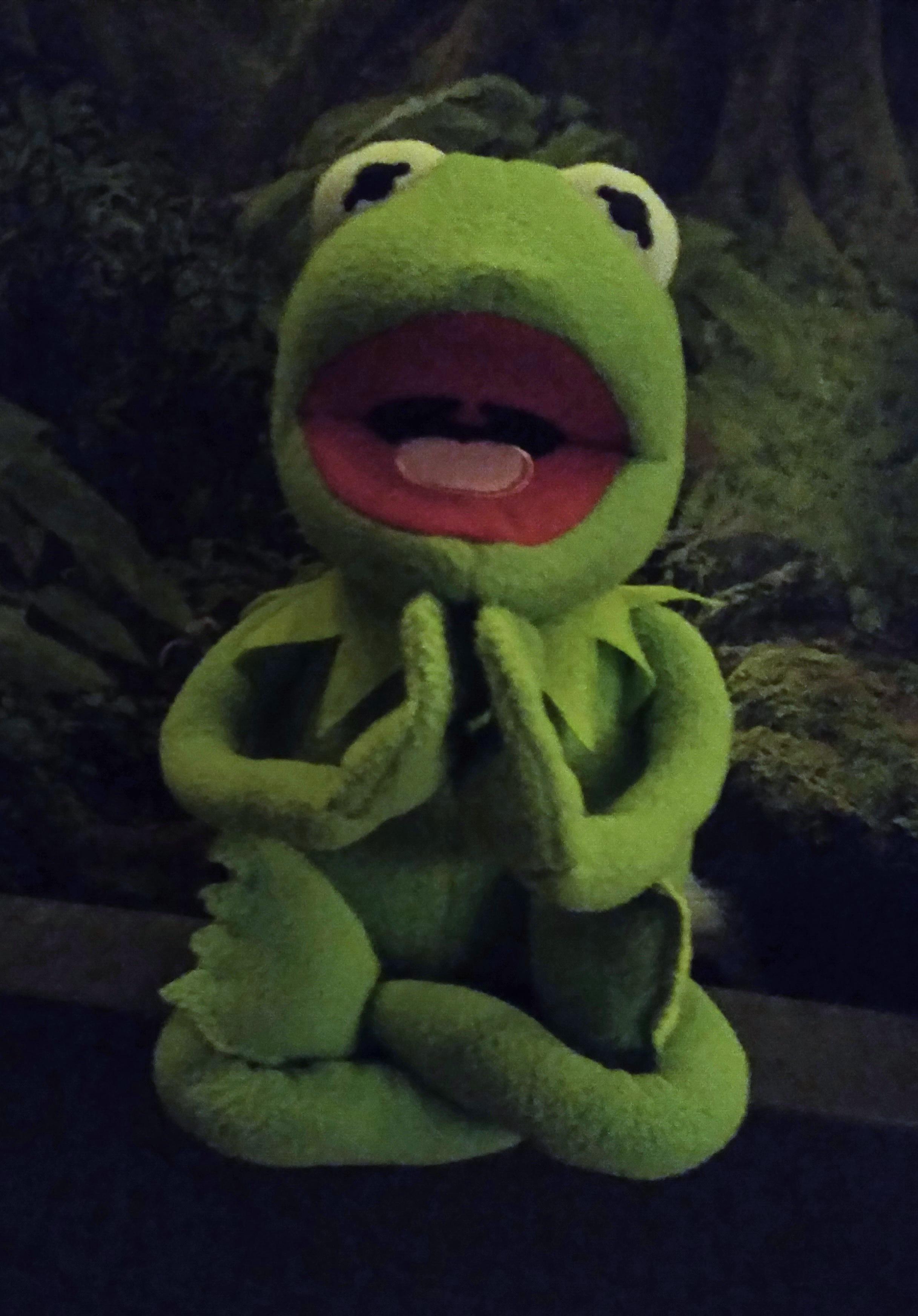 Kermit getting his zen on | Scrolller