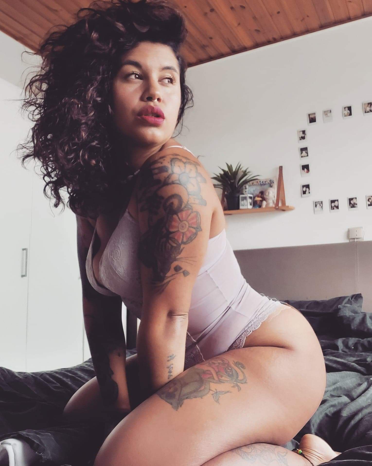 Khmer x belgian | Scrolller