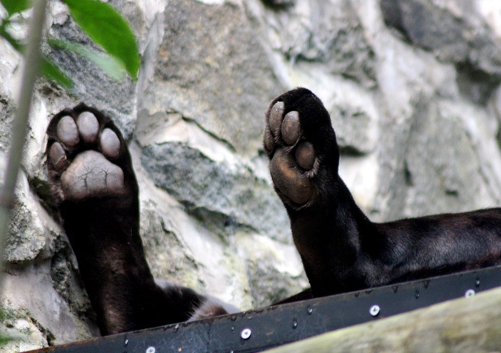 Kick back and relax | Scrolller