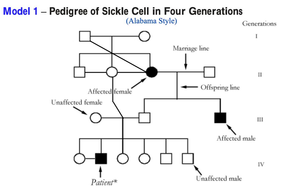 kid from alabama | Scrolller