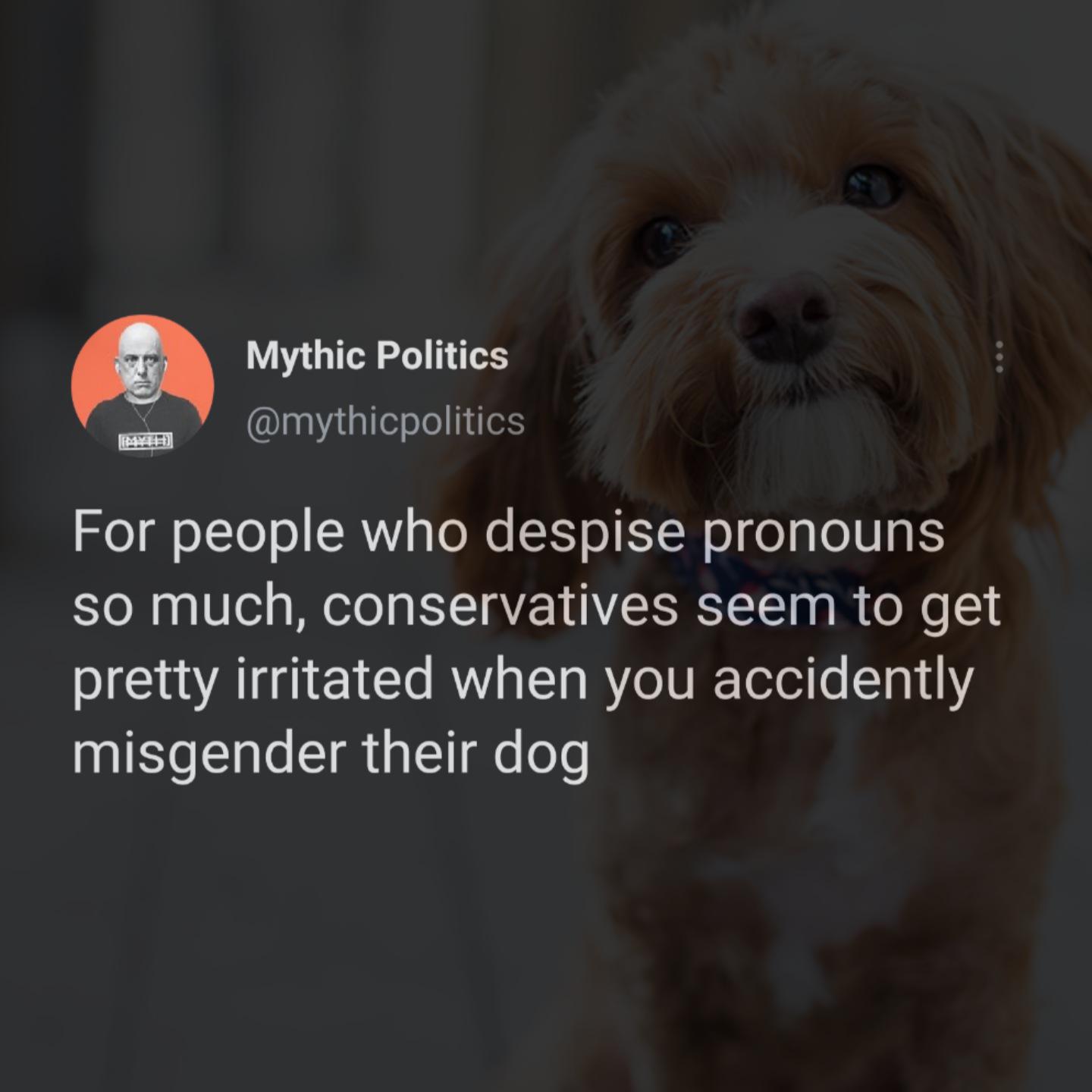 KILLER ISN'T A HER, LIB | Scrolller