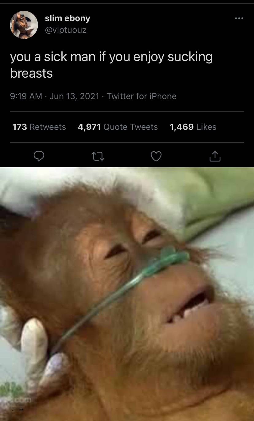 King K. Rule | Scrolller