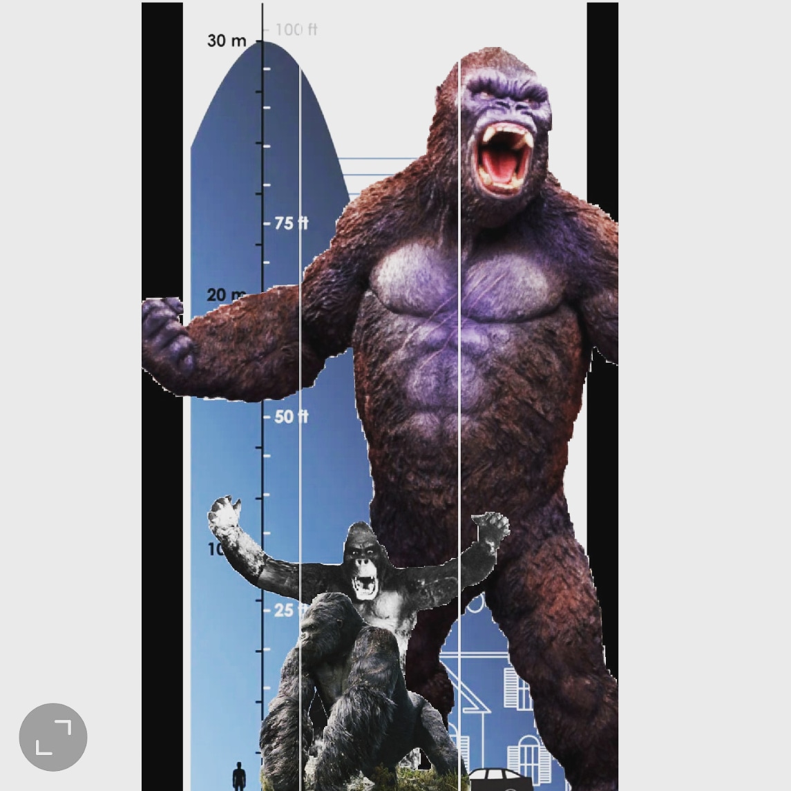 King kong size comparison 100ft | Scrolller