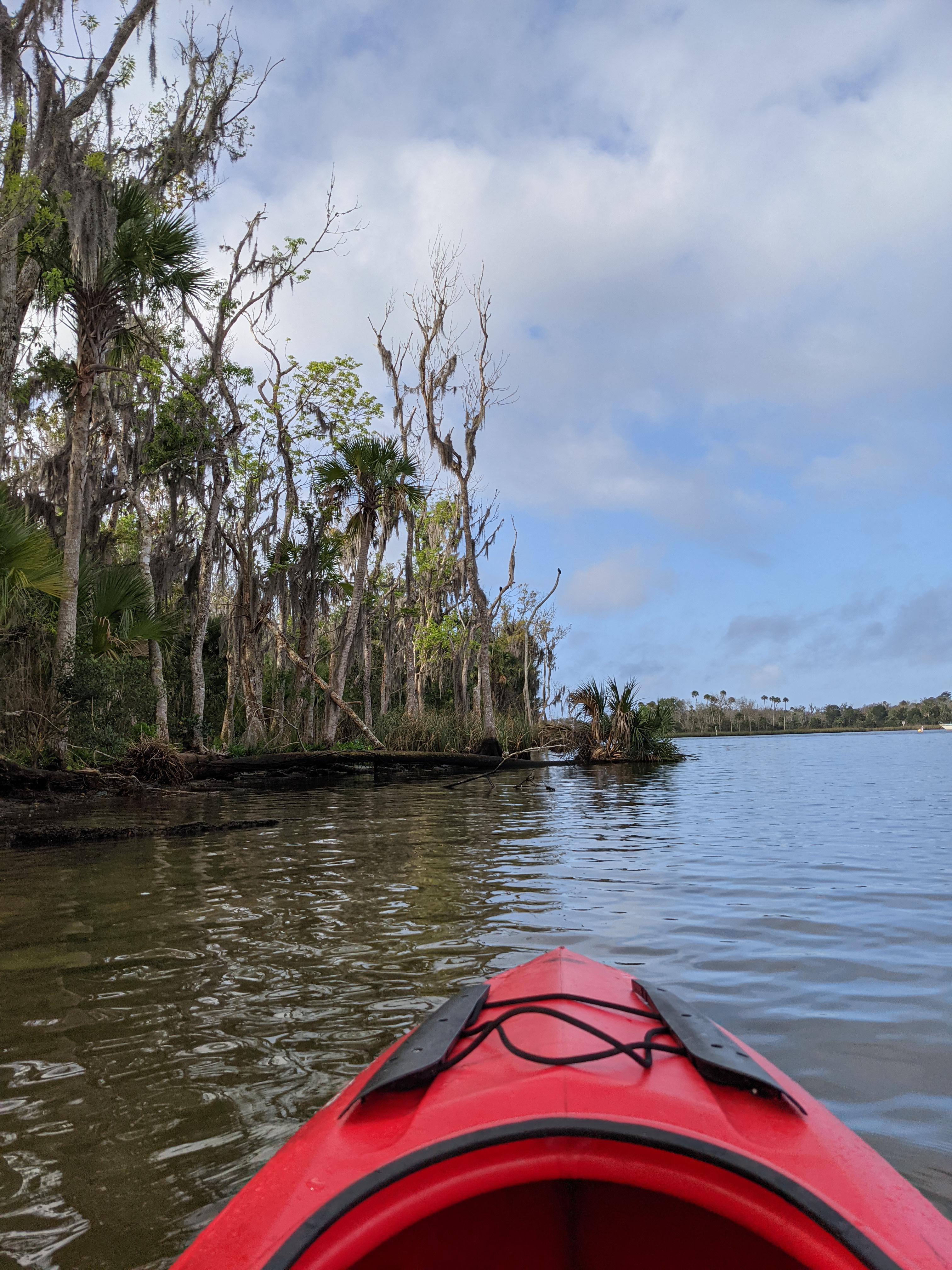Kings bay, Florida - first excursion of 2021 | Scrolller