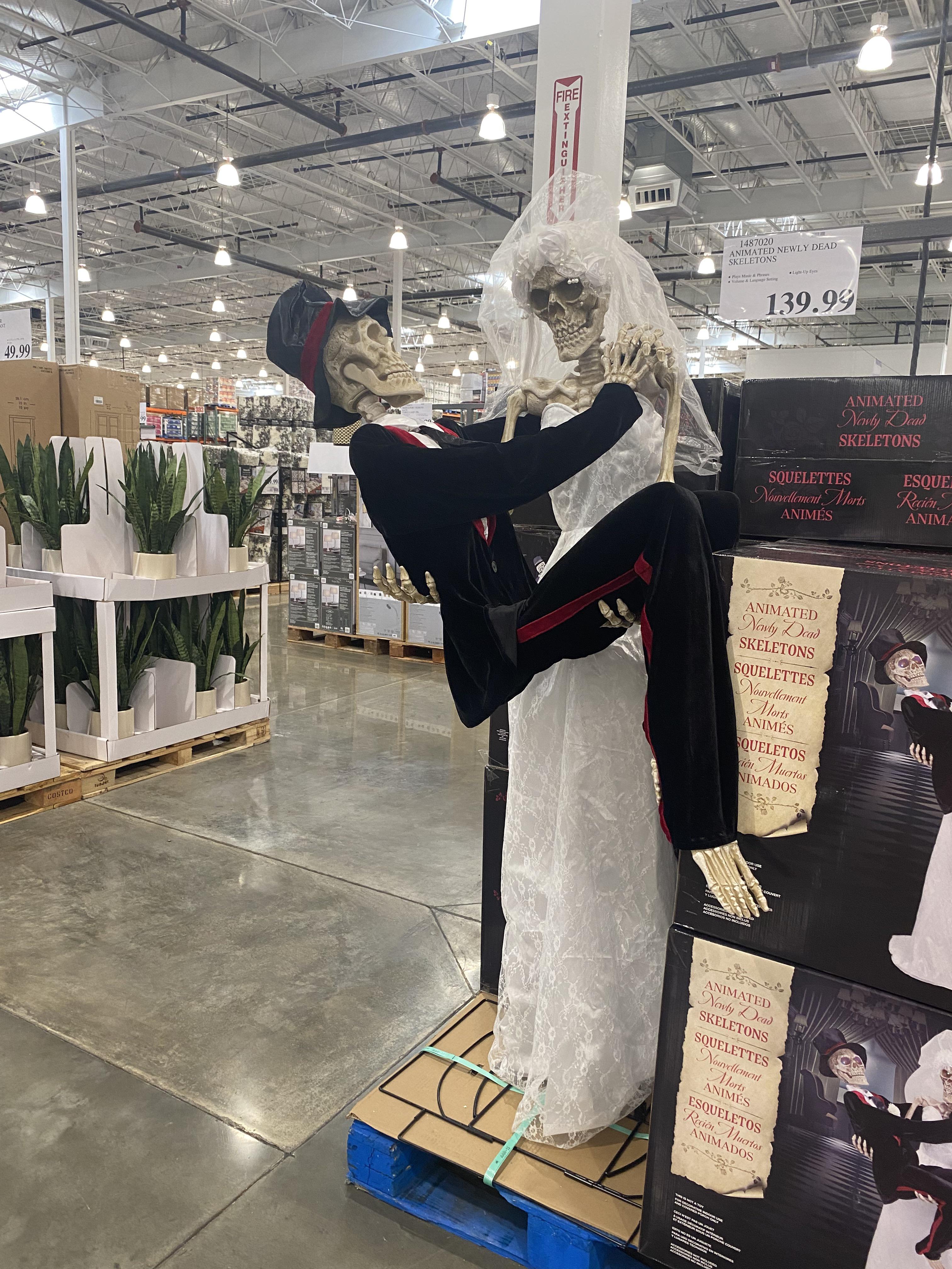 Kirkland role reversal | Scrolller