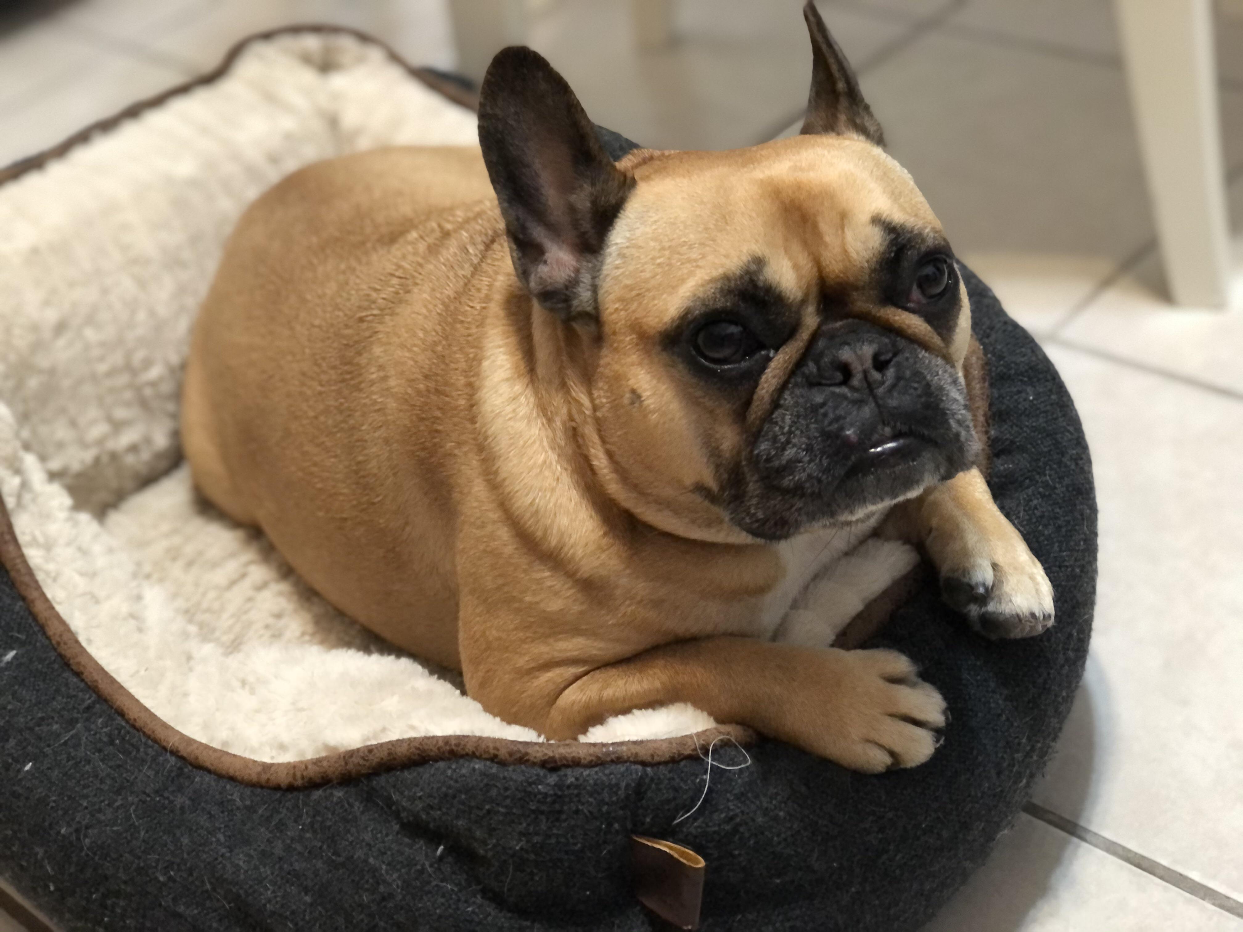 Kitchen loaf ready to be baked | Scrolller