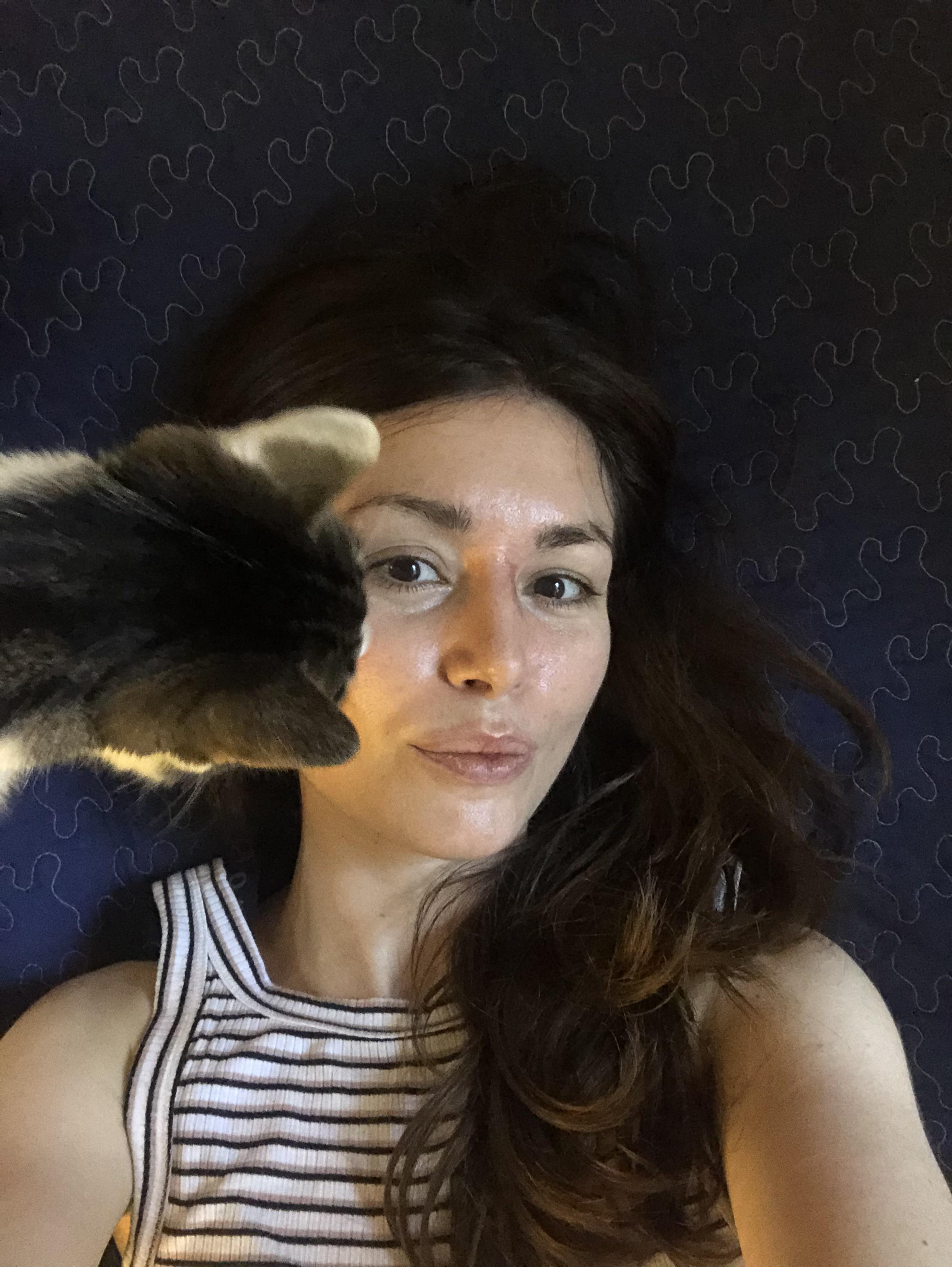 Kitten kisses | Scrolller