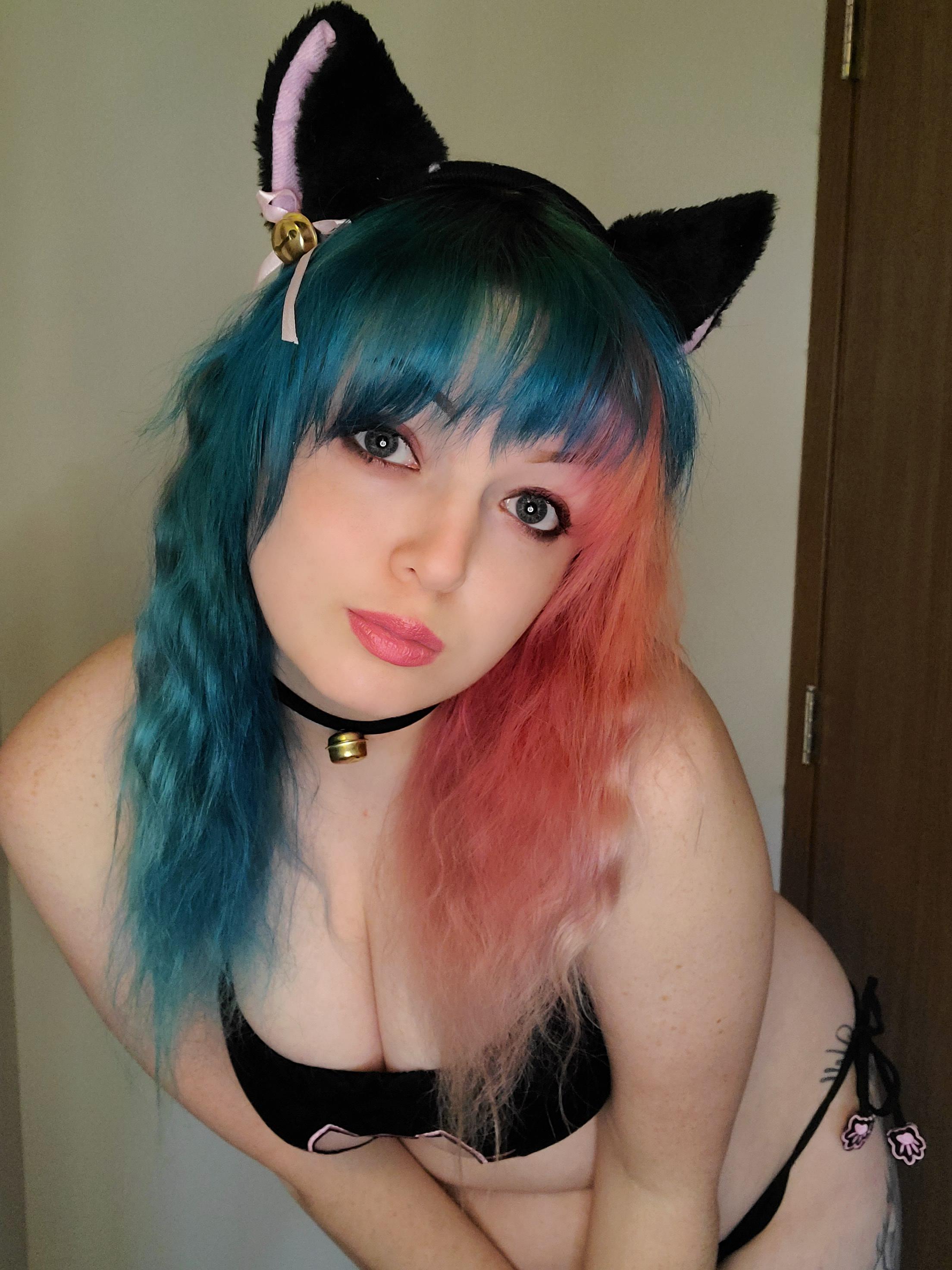 Kitty kitty meow meow | Scrolller