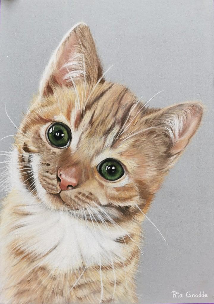 Kitty, RiannsArt, Pastel Pencil drawing, 2021 | Scrolller