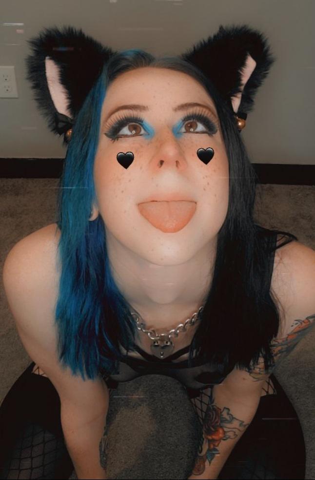 Kitty Wants To Play 🥰 Scrolller