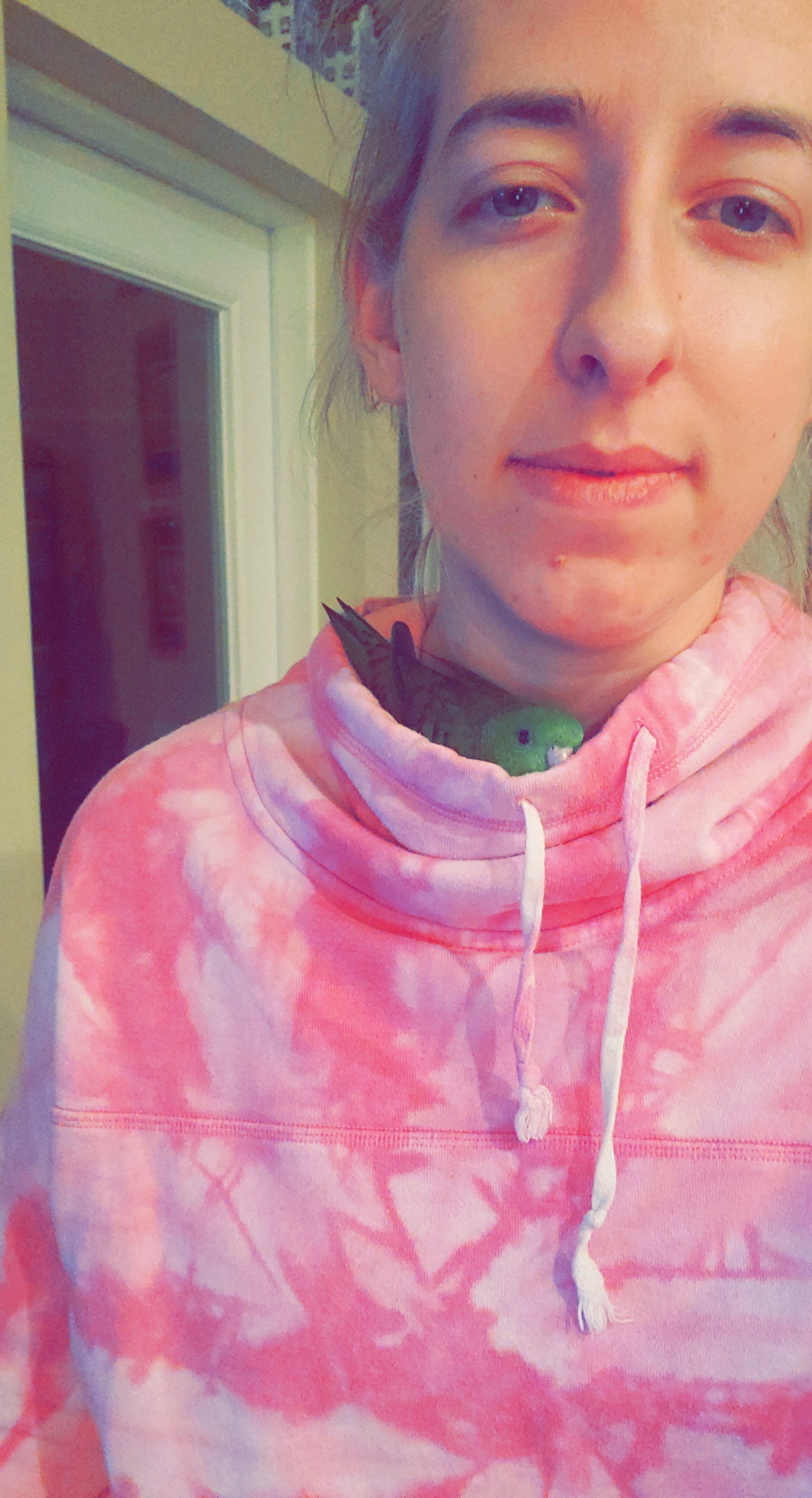 Kiwi the snuggle bug🥰🥝 | Scrolller