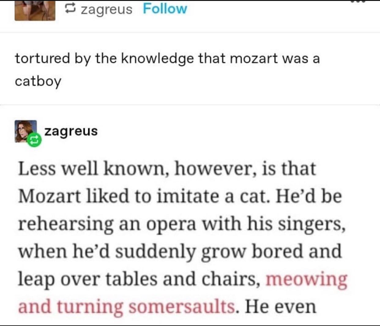 Knowledge | Scrolller