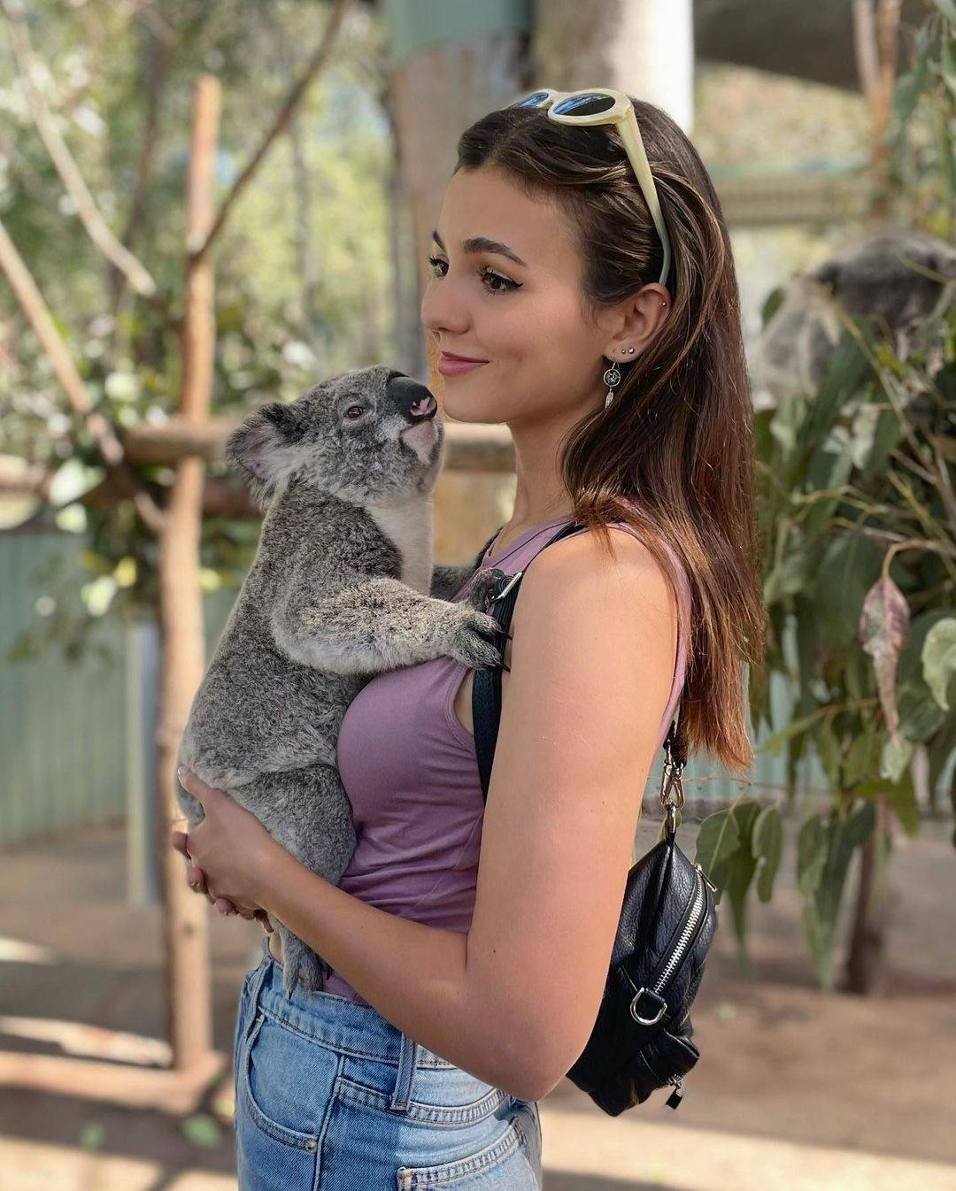 Lucky koala | Scrolller