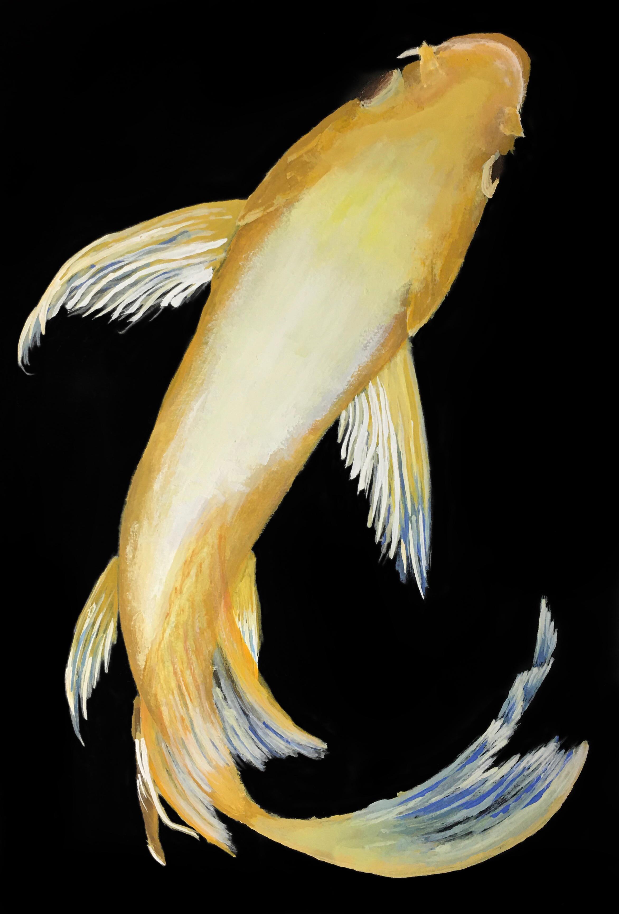 Koi by me | Scrolller