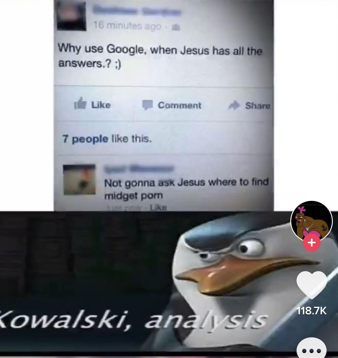 Kowalski, Analysis | Scrolller