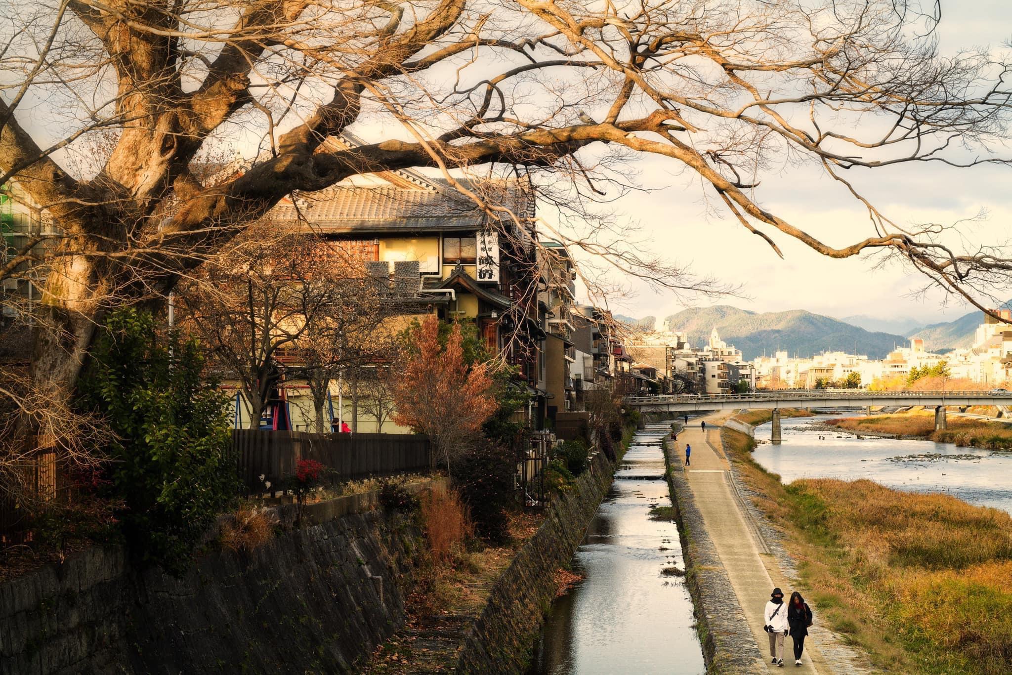 Kyoto, Japan | Scrolller