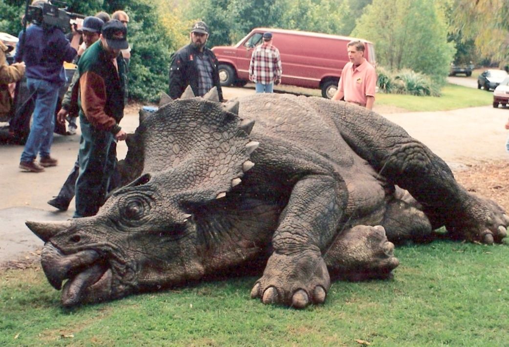 LA Arboretum BTS shots | Scrolller