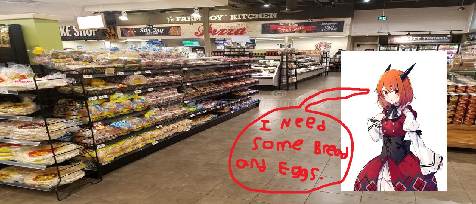 Laika Goes To Grocery Store. | Scrolller