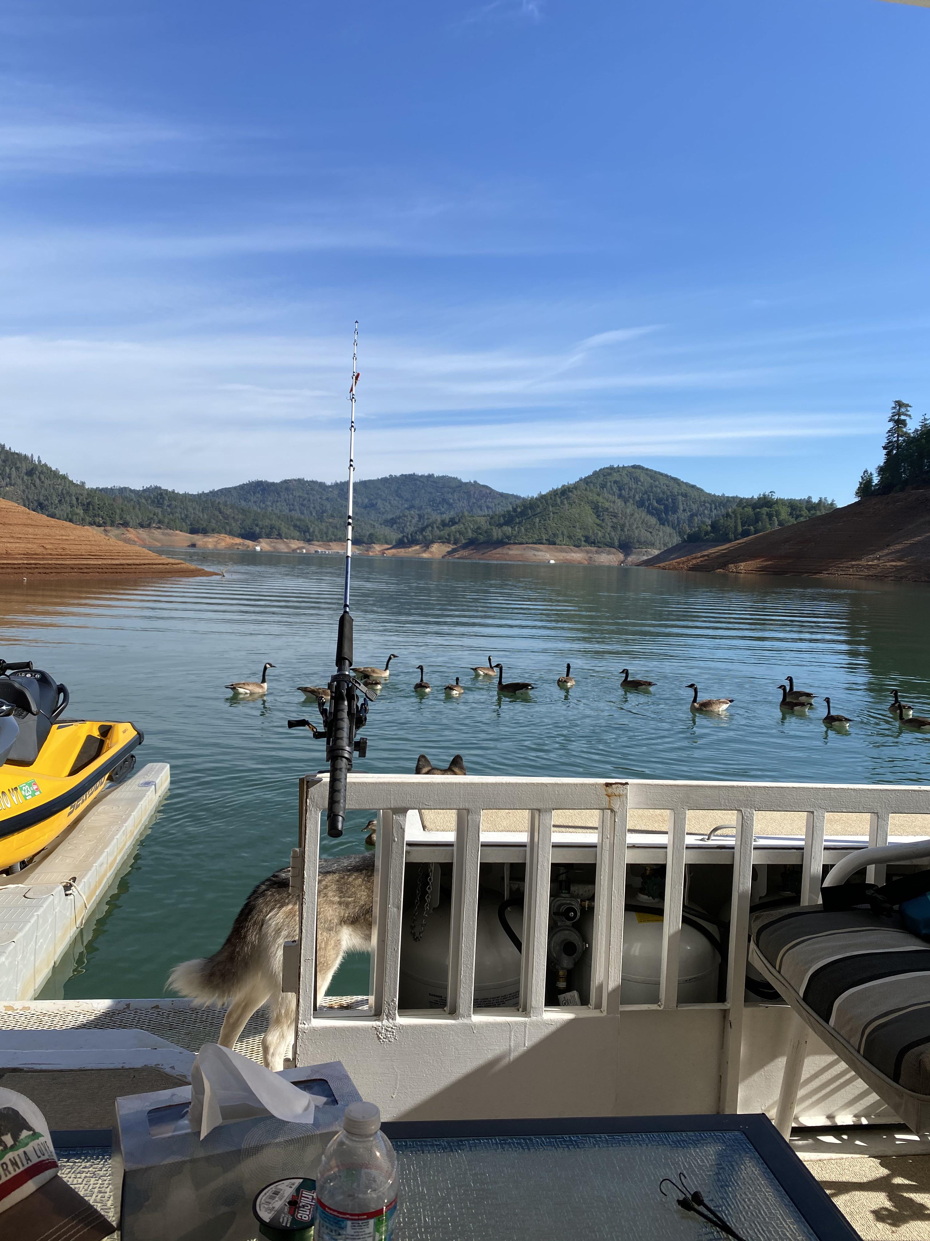 Lake Shasta | Scrolller