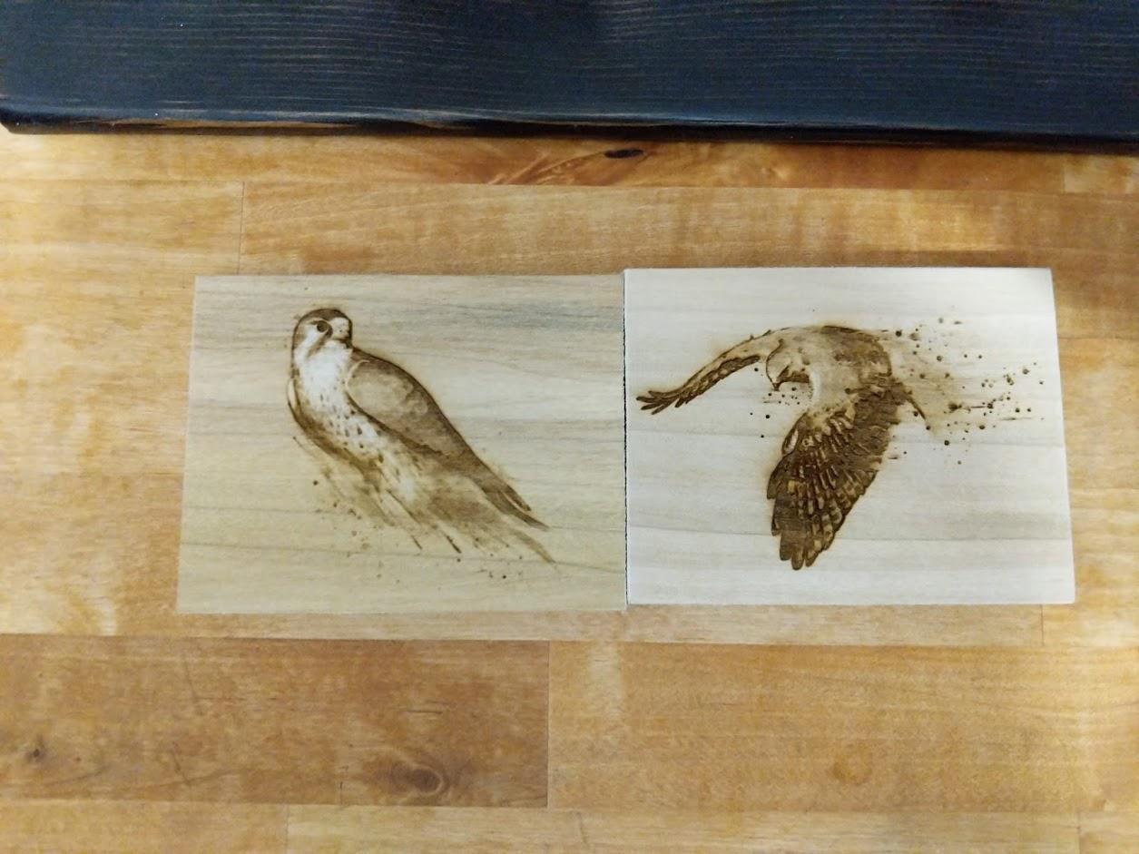 LASER!!!!!!! | Scrolller