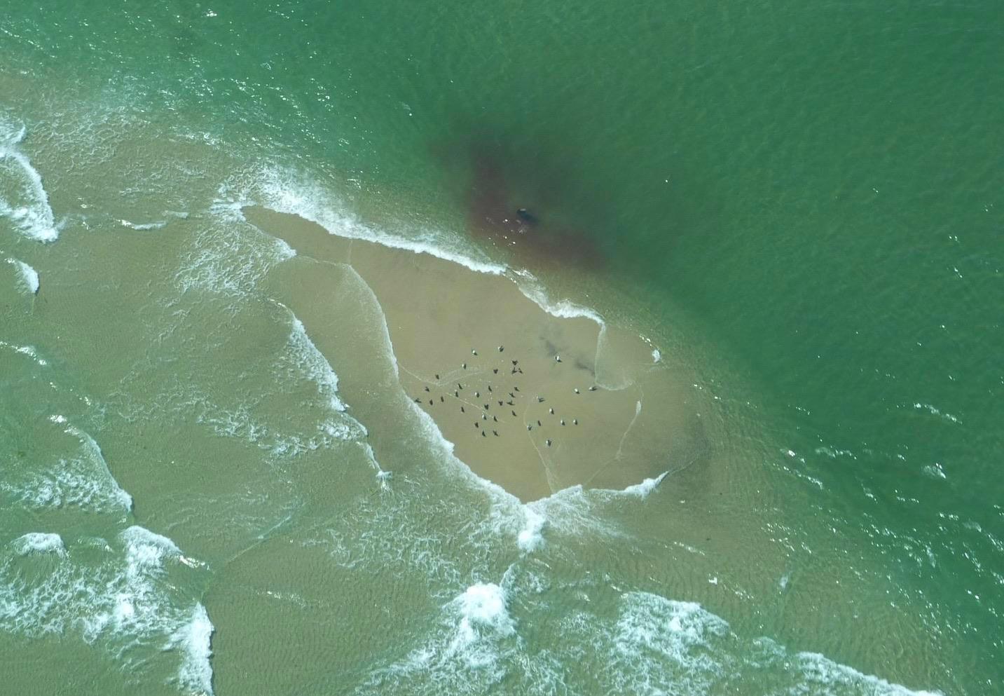 Last summer | Scrolller