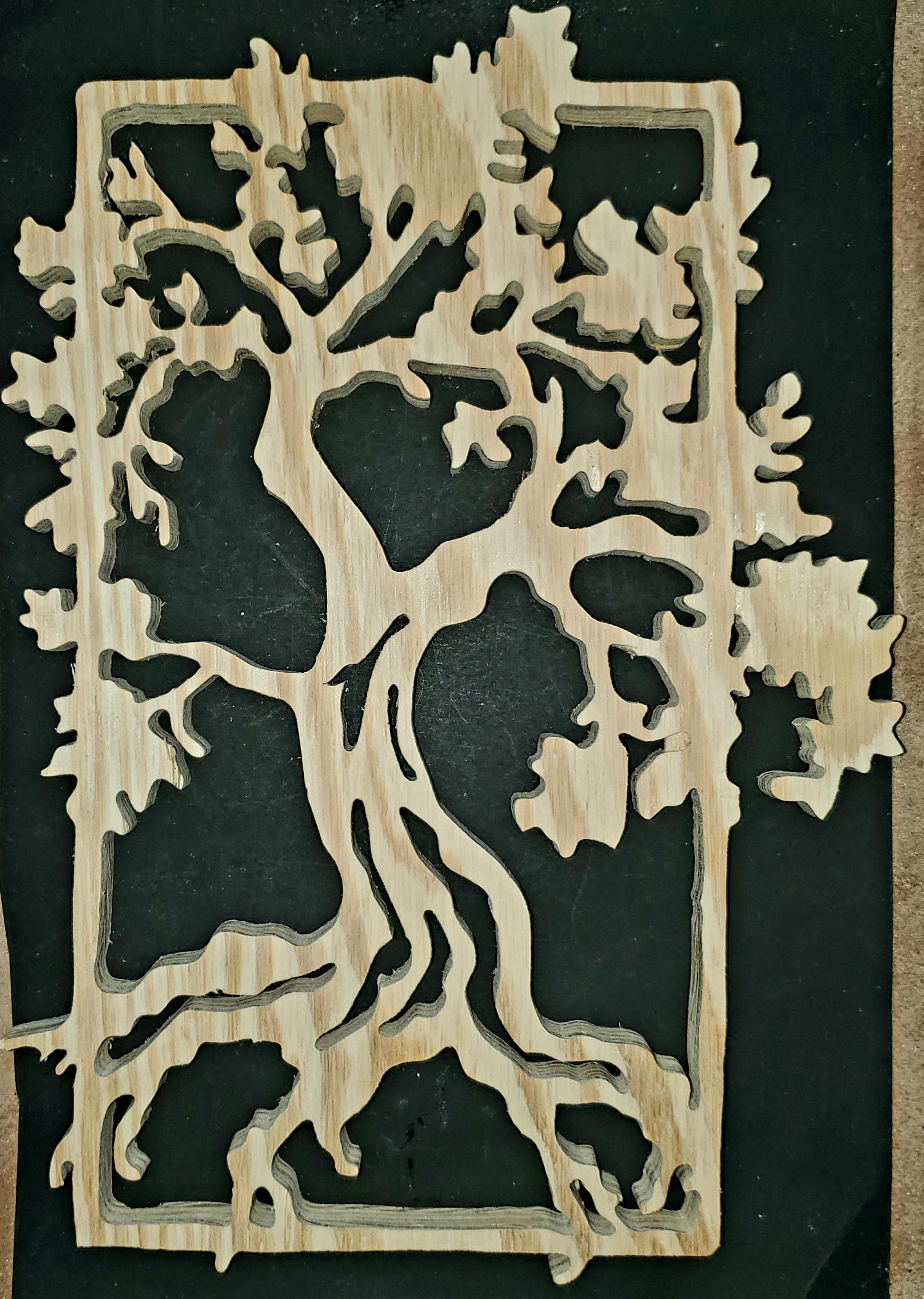 Latest Project Scrolller