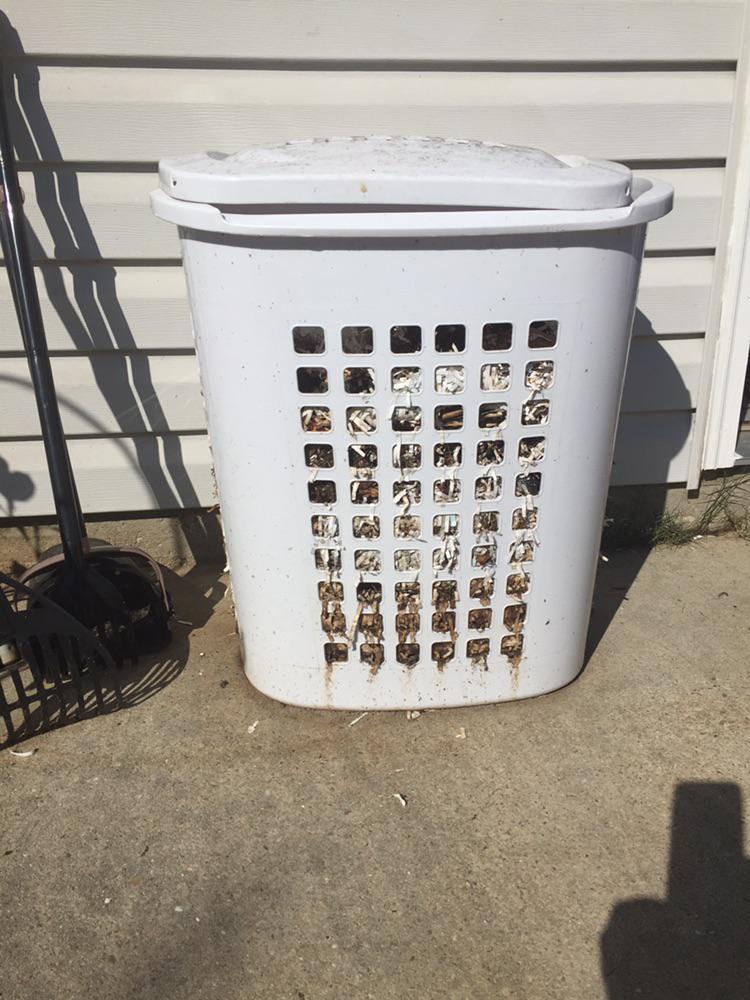 Laundry basket composting | Scrolller