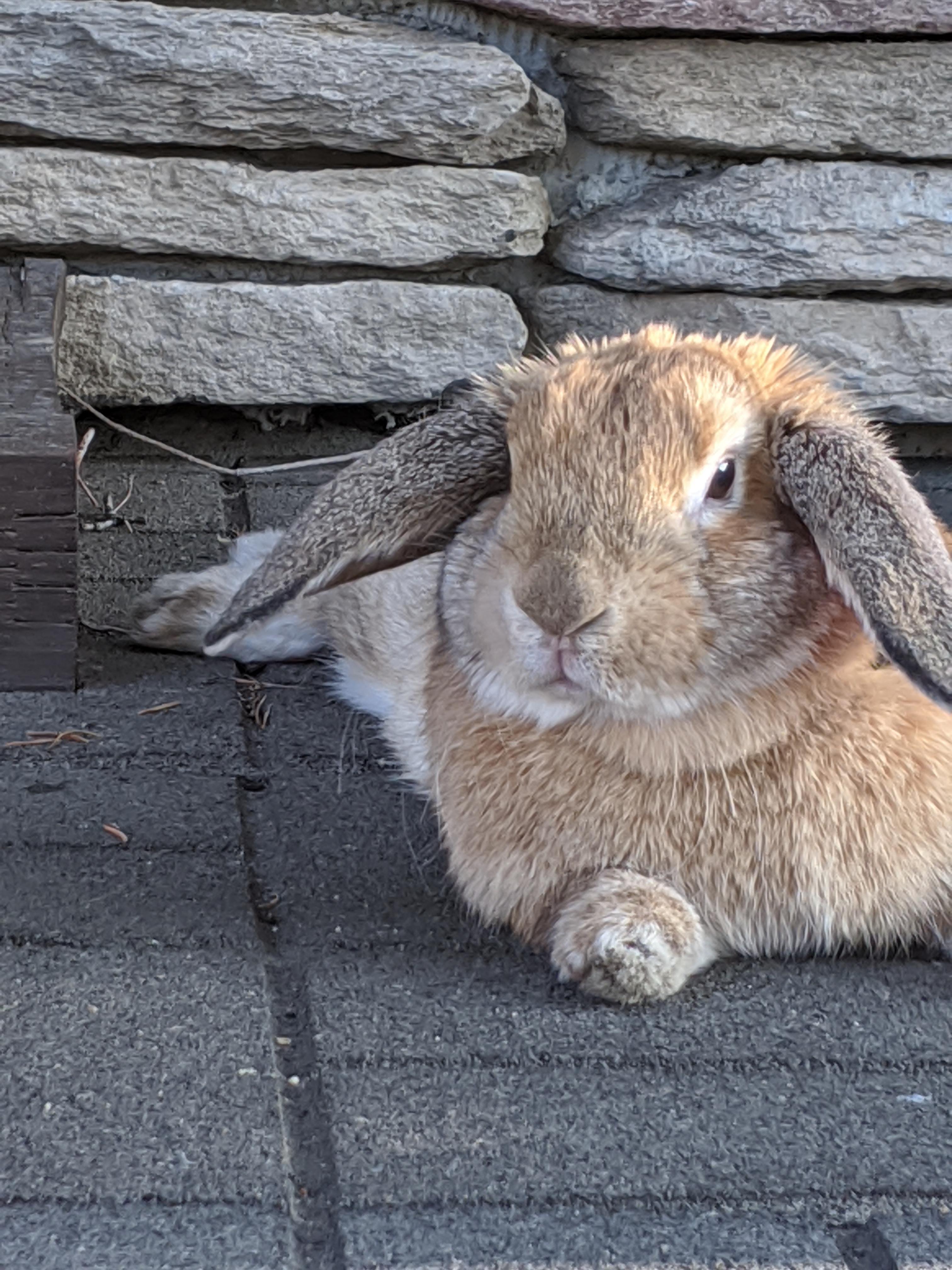 Layin on the porch! | Scrolller