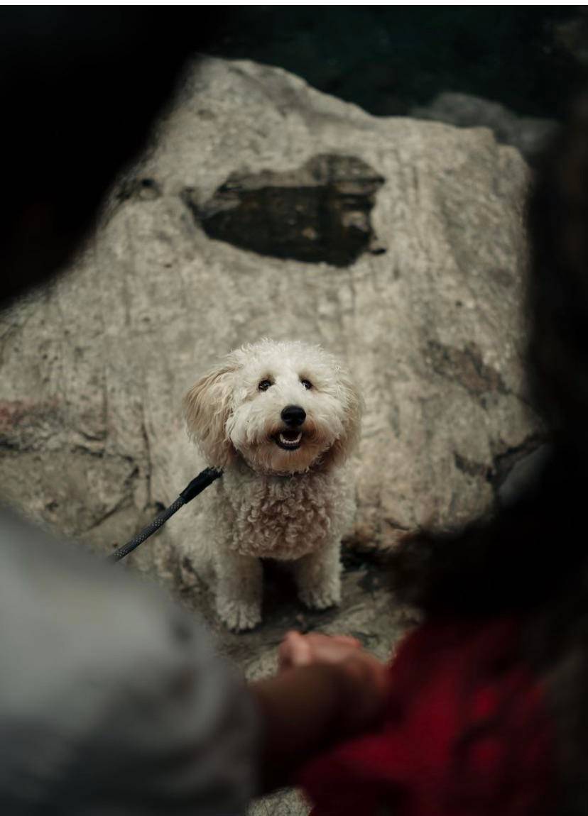 Layla’s first photo shoot | Scrolller